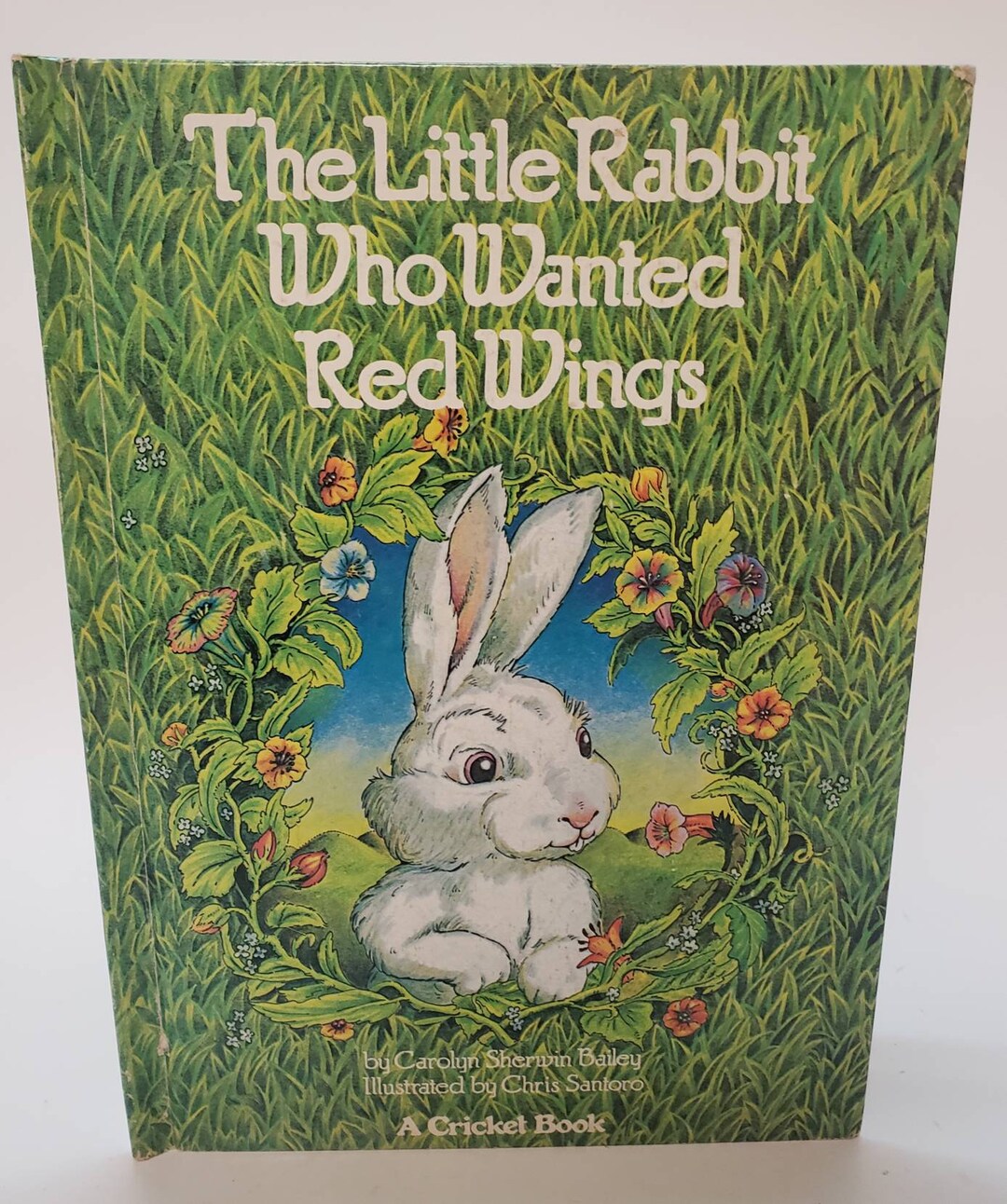 The Little Rabbit Who Wanted Red Wings by Carolyn Sherwin Bailey ...