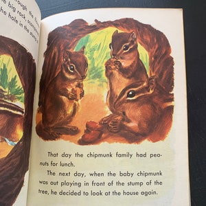 The Baby Chipmunk/ Vintage 1953 Rand Mcnally Ding Dong School Book ...