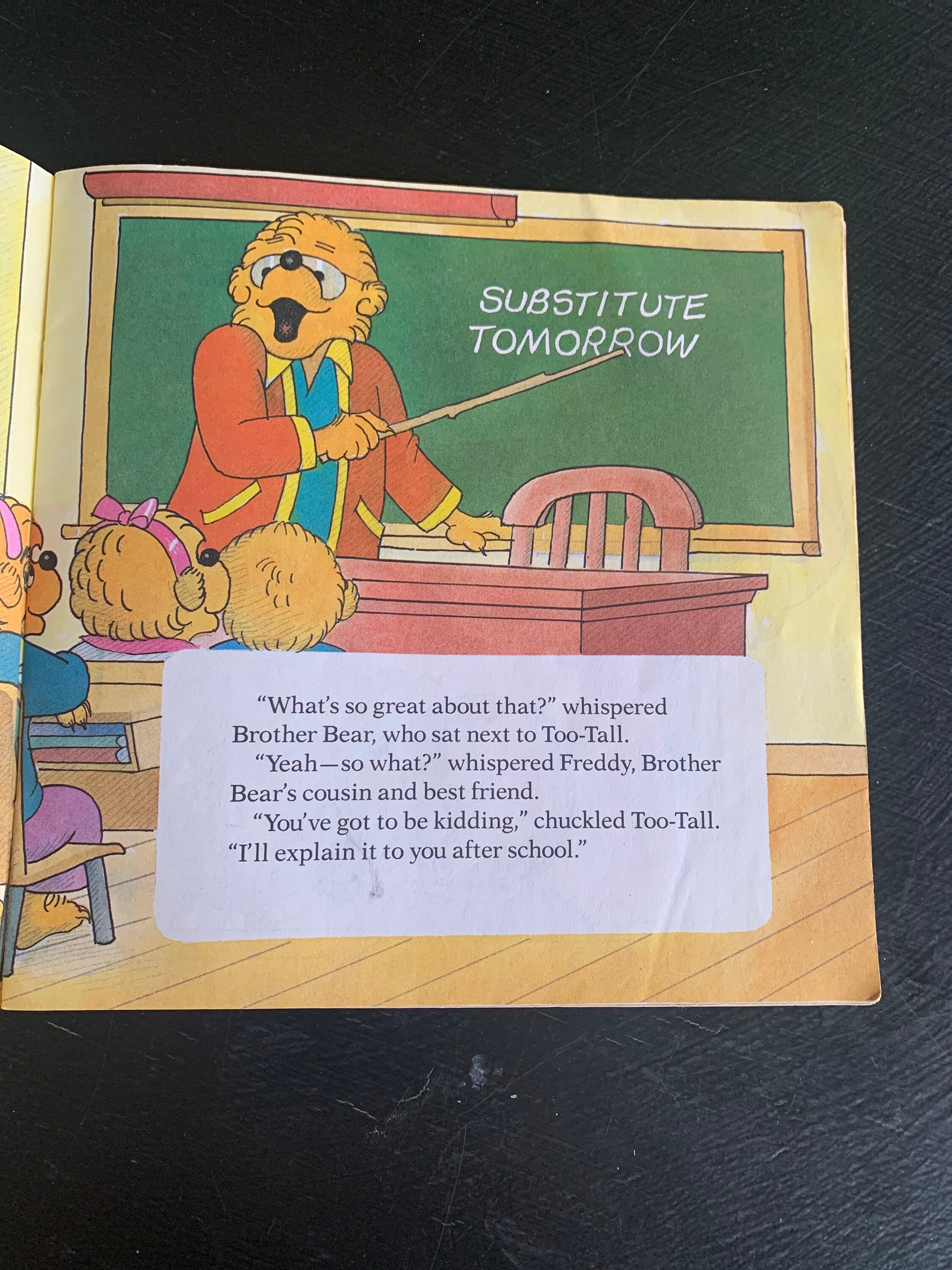The Berenstain Bears and the Substitute Teacher by Stan & Jan - Etsy