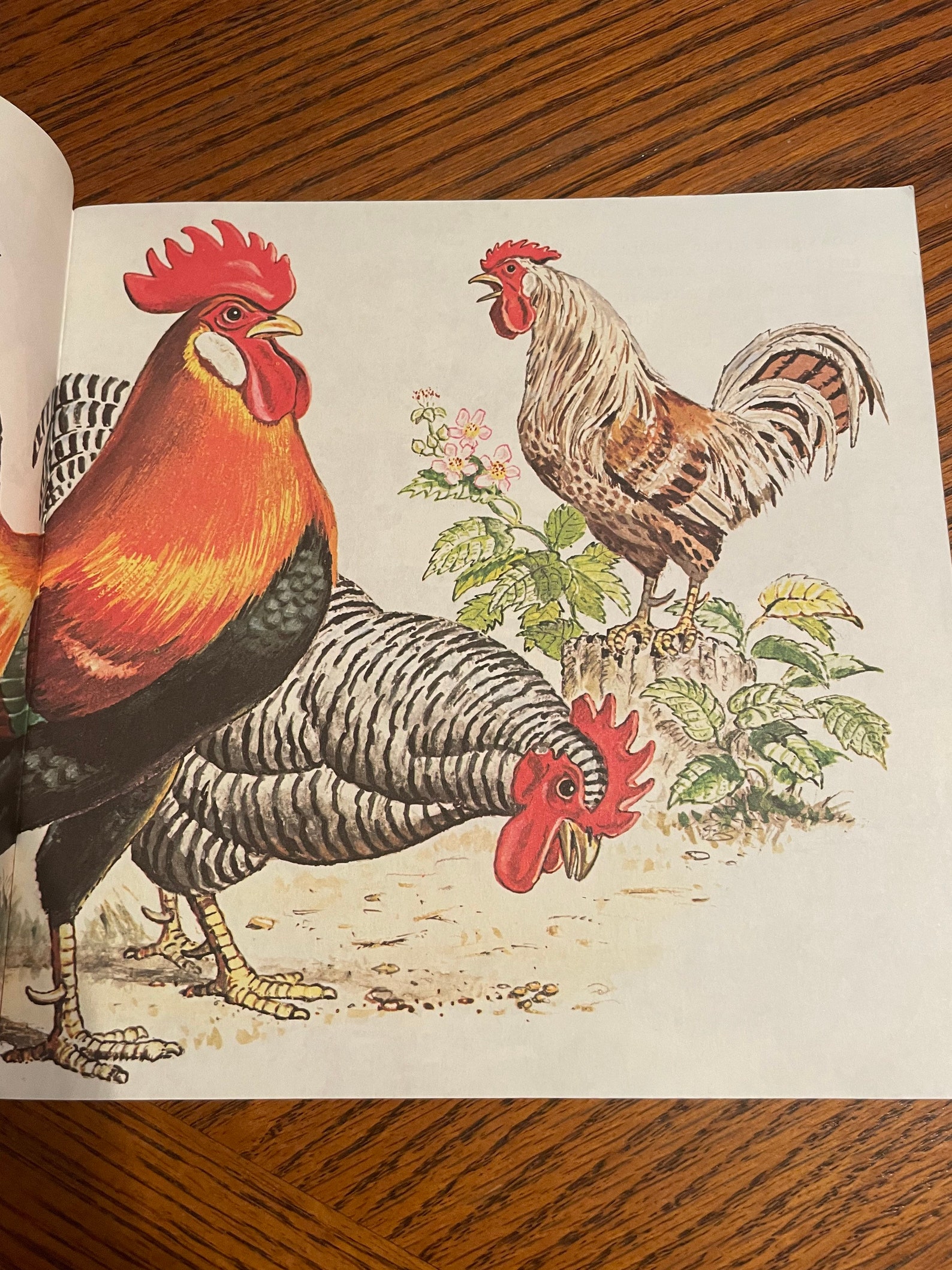 Farm Animals Random House Pictureback Book / Nostalgic Gift/ - Etsy