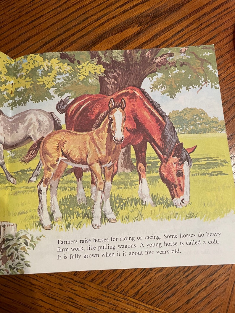 Farm Animals Random House Pictureback Book / Nostalgic Gift/ - Etsy