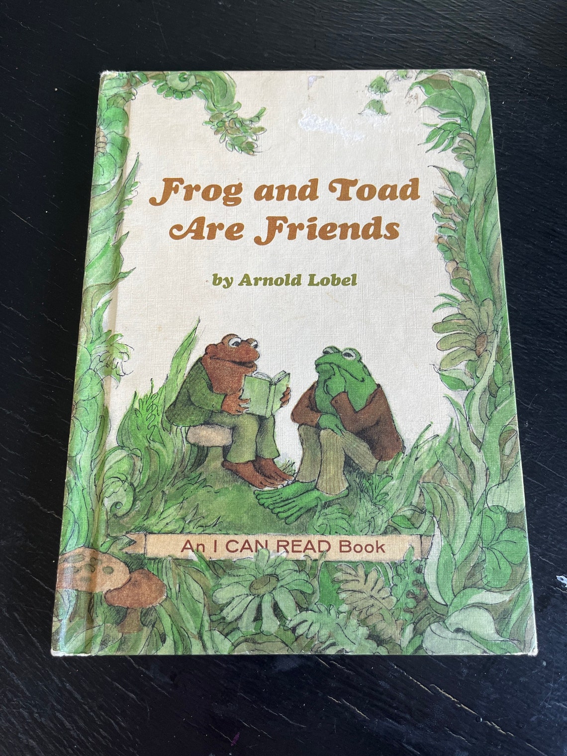 Frog and Toad Are Friends by Arnold Lobel/ an I Can Read Book/ - Etsy