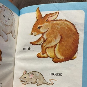 My Book of Words First Little Golden Book/ Nostalgic Gift/ Vintage 1982 ...