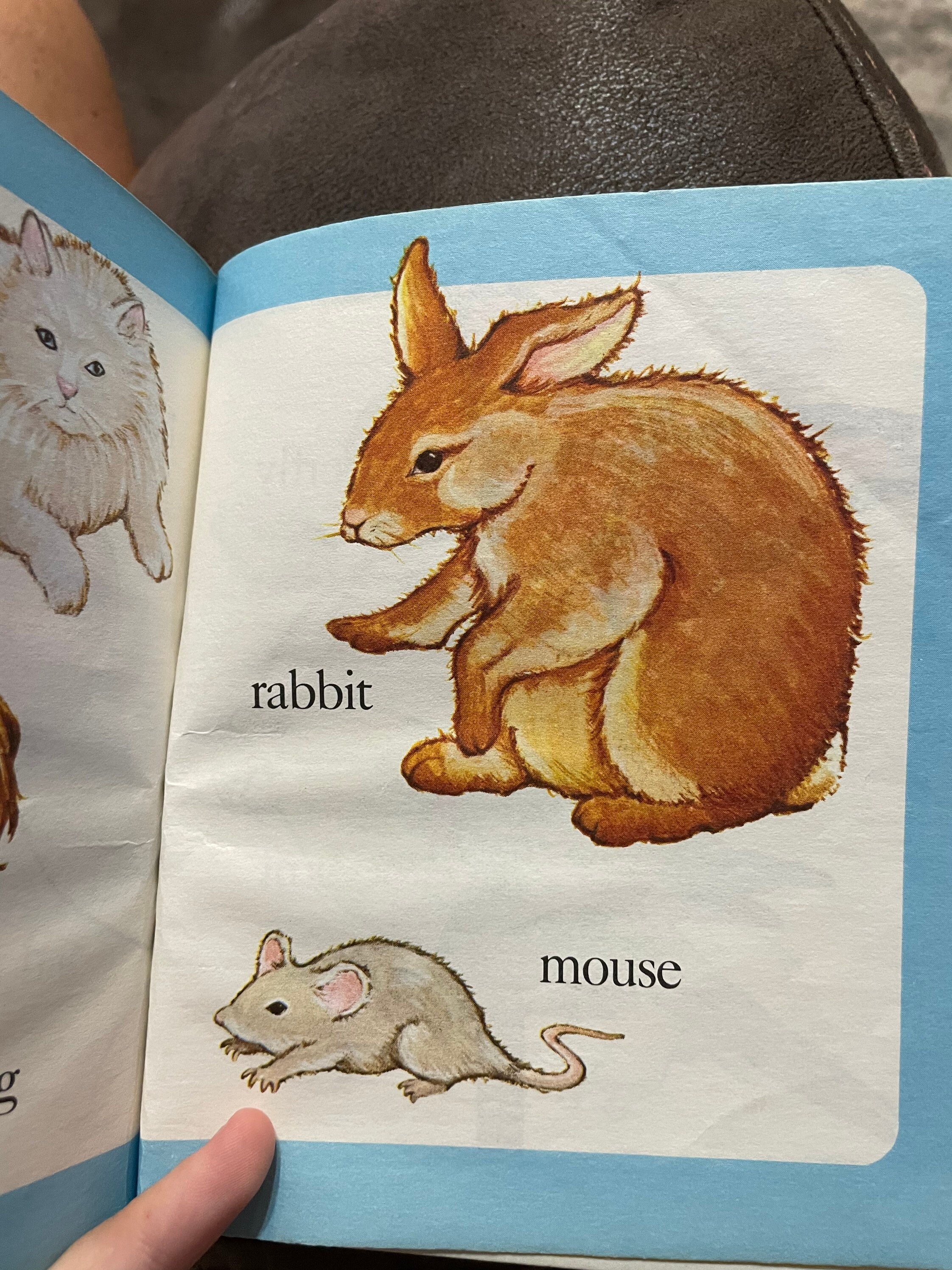 My Book of Words First Little Golden Book/ Nostalgic Gift/ Vintage 1982 ...