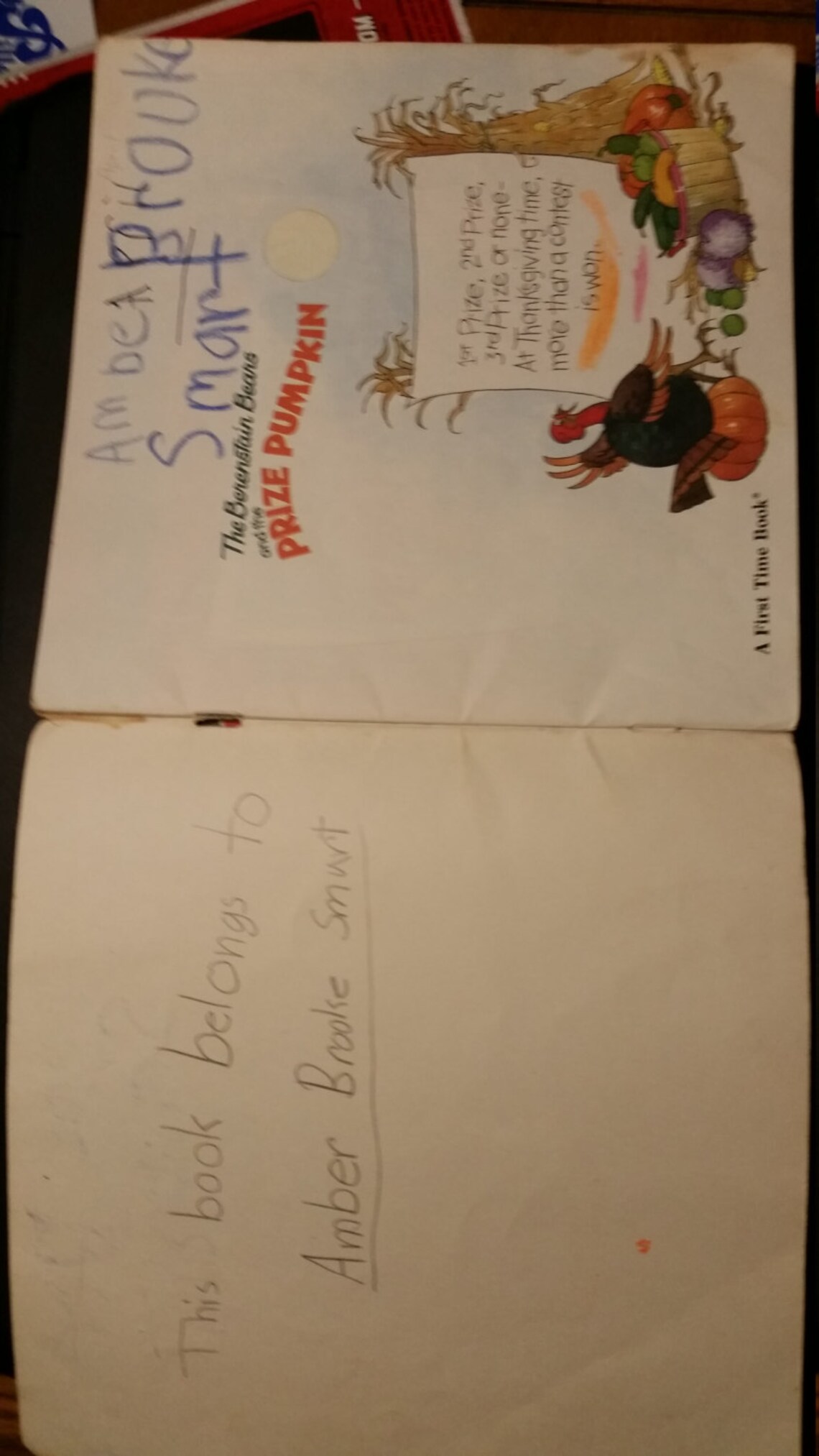 The Berenstain Bears and the Prize Pumpkin/childs Book/stan - Etsy