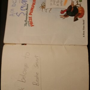 The Berenstain Bears and the Prize Pumpkin/childs Book/stan and Jan ...