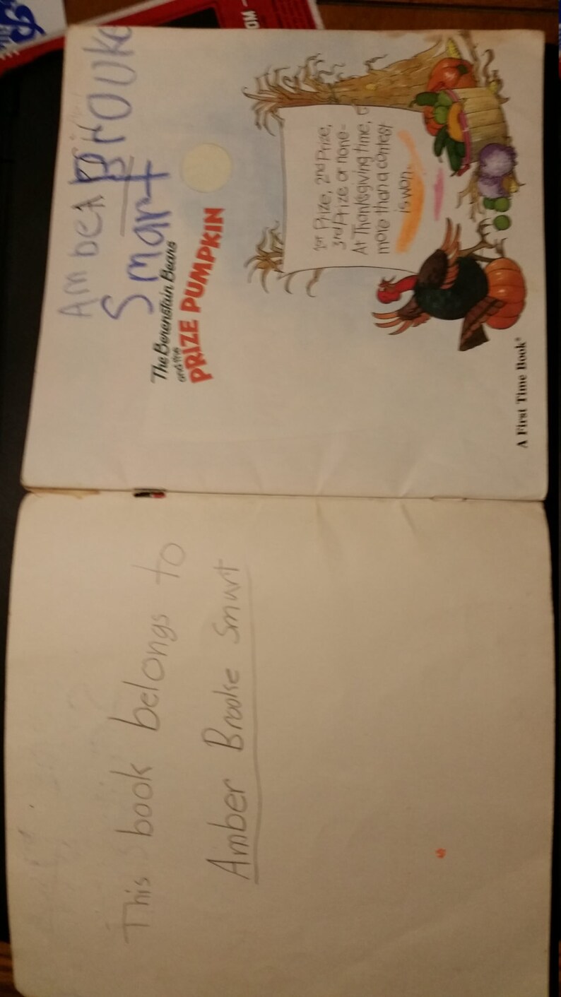 The Berenstain Bears and the Prize Pumpkin/childs Book/stan - Etsy