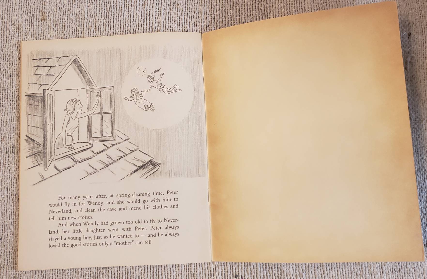 Peter Pan Educational Reading Service Paperback Book/ - Etsy