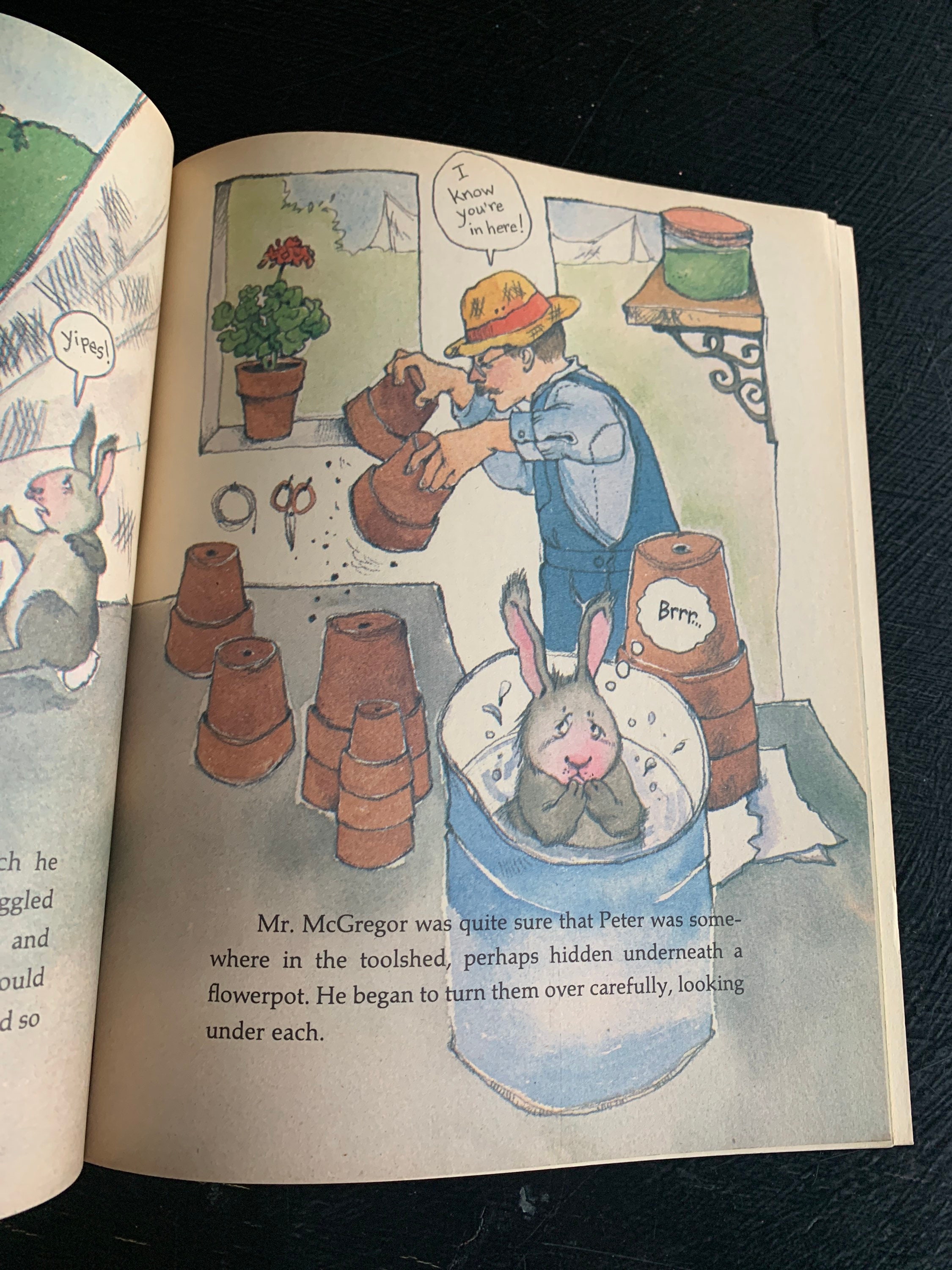 The Tale of Peter Rabbit by Beatrix Potter/ Troll Associates - Etsy