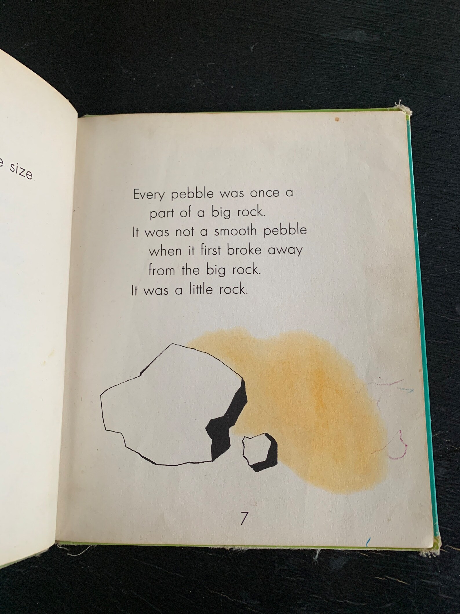 The True Book of Pebbles and Shells by Illa Podendorf/ Children’s Press ...