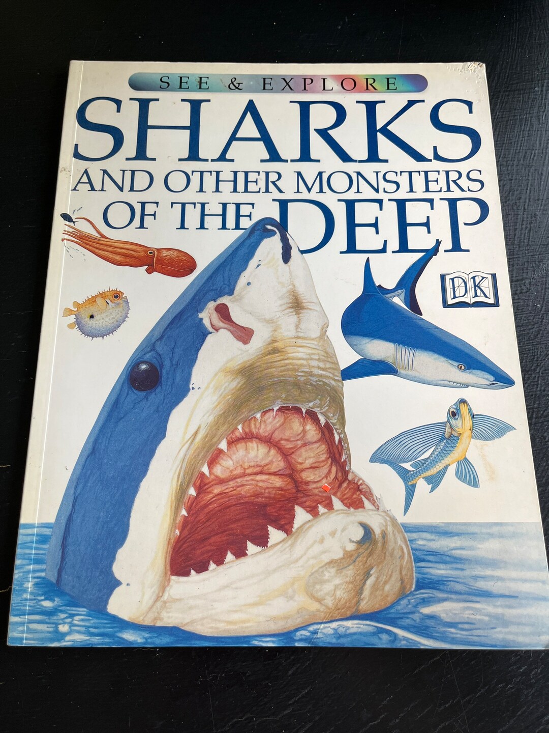 Sharks and Other Monsters of the Deep by Philip Steele/ DK Paperback ...