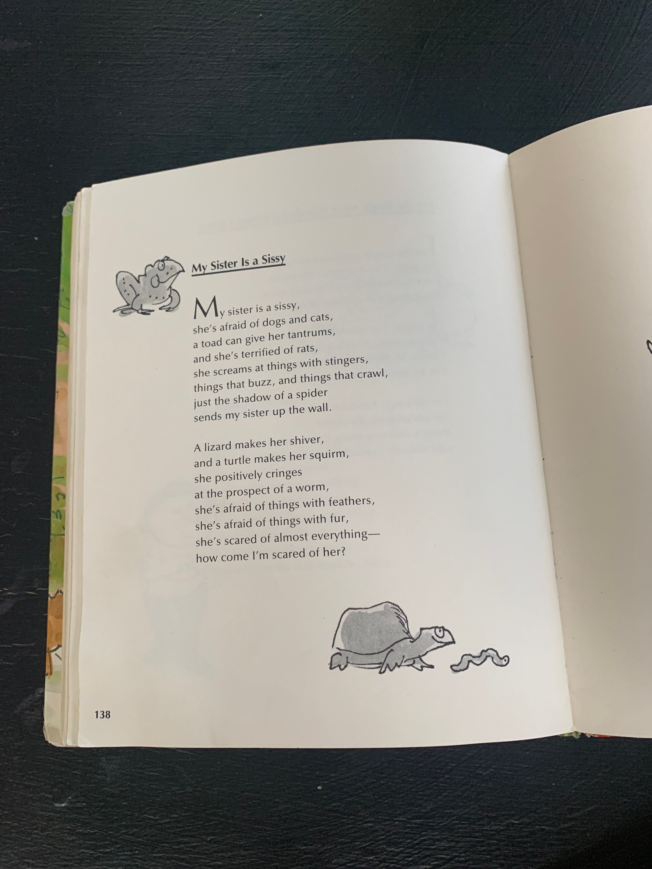 The New Kid on the Block/ Poems by Jack Prelutsky/ Hardcover Book ...