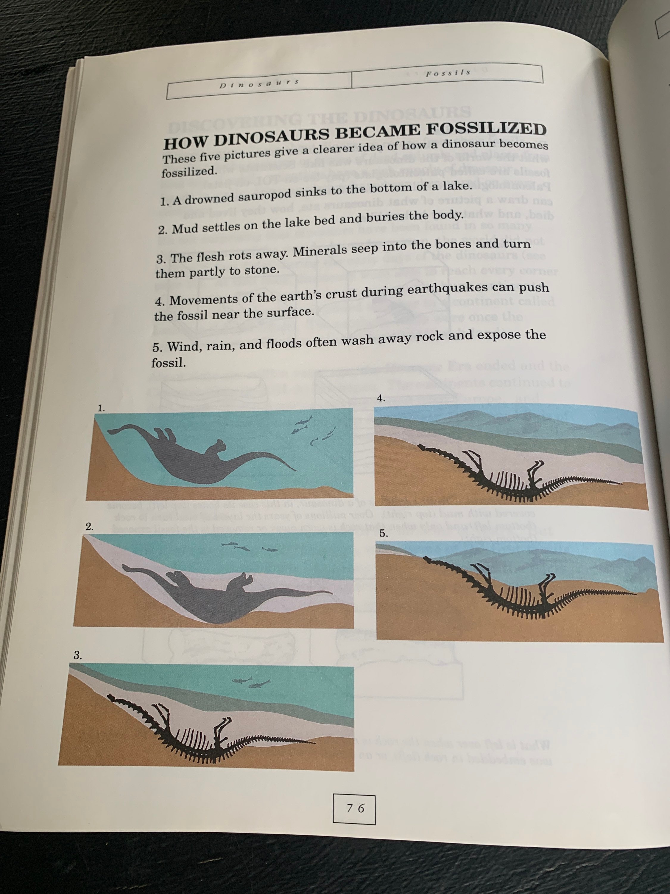 Dinosaurs and Other Prehistoric Animals by Robin Wright/ Troll - Etsy