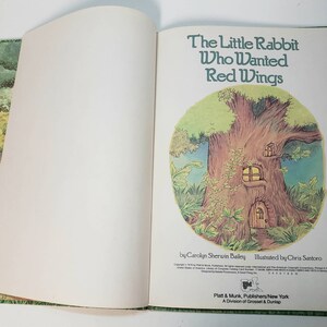 The Little Rabbit Who Wanted Red Wings by Carolyn Sherwin Bailey ...