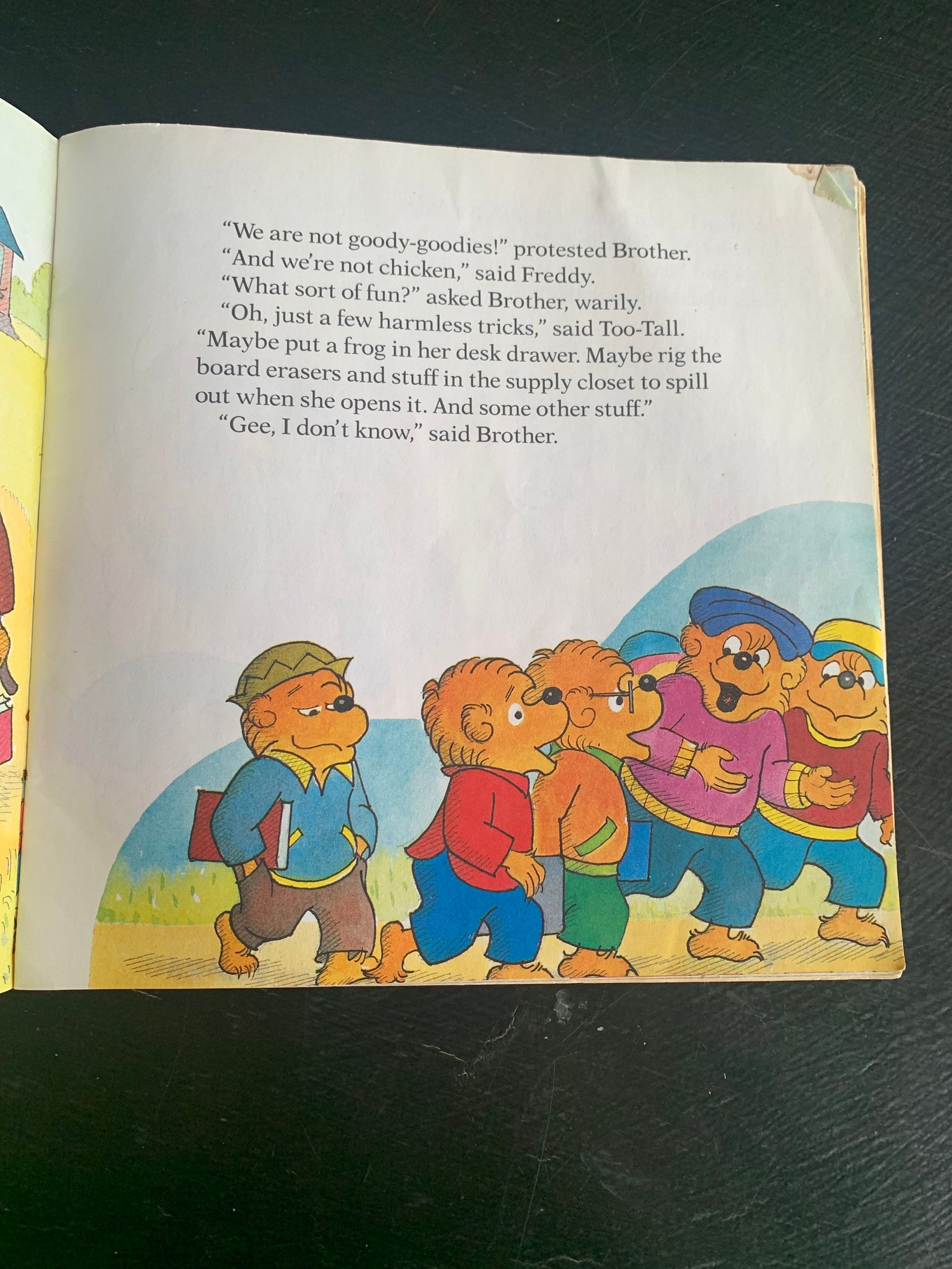 The Berenstain Bears and the Substitute Teacher by Stan & Jan - Etsy