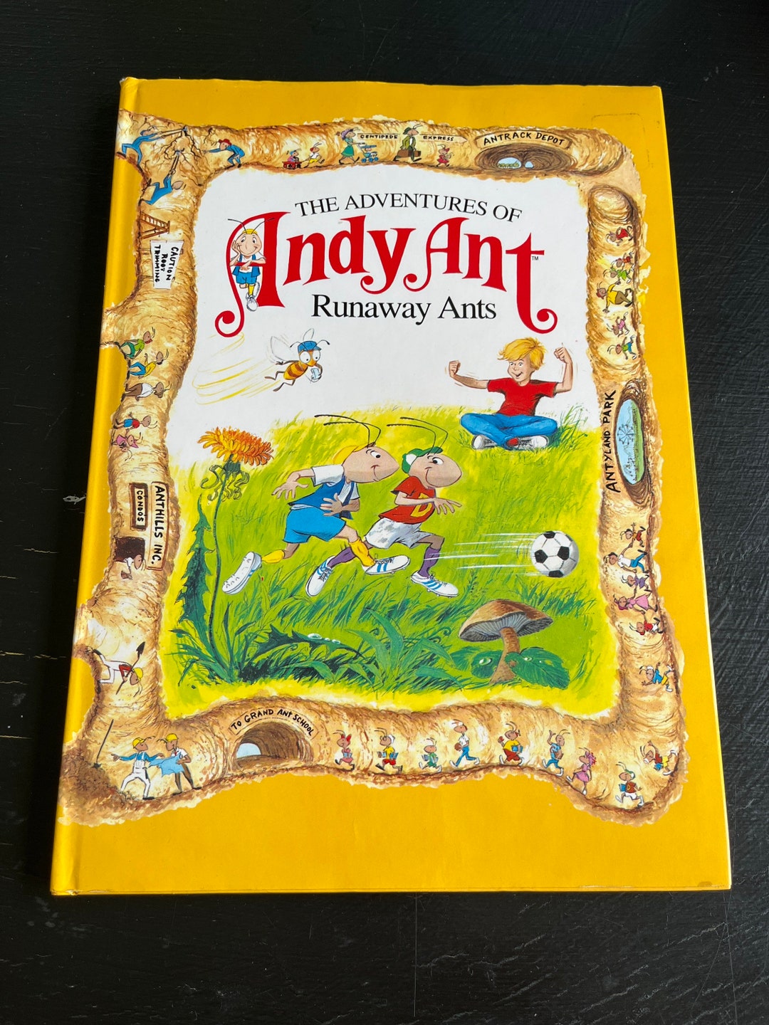 The Adventures of Andy Ant: Runaway Ants by Gerald D. O’nan/ Hardcover ...