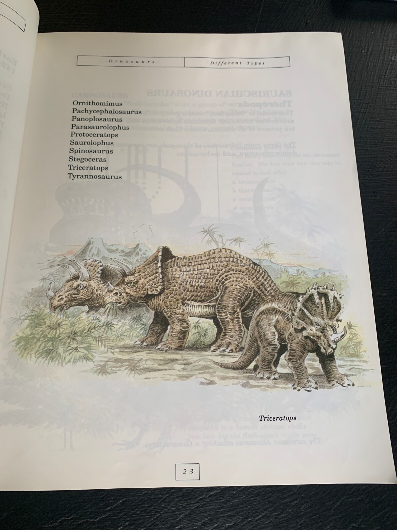 Dinosaurs and Other Prehistoric Animals by Robin Wright/ Troll ...