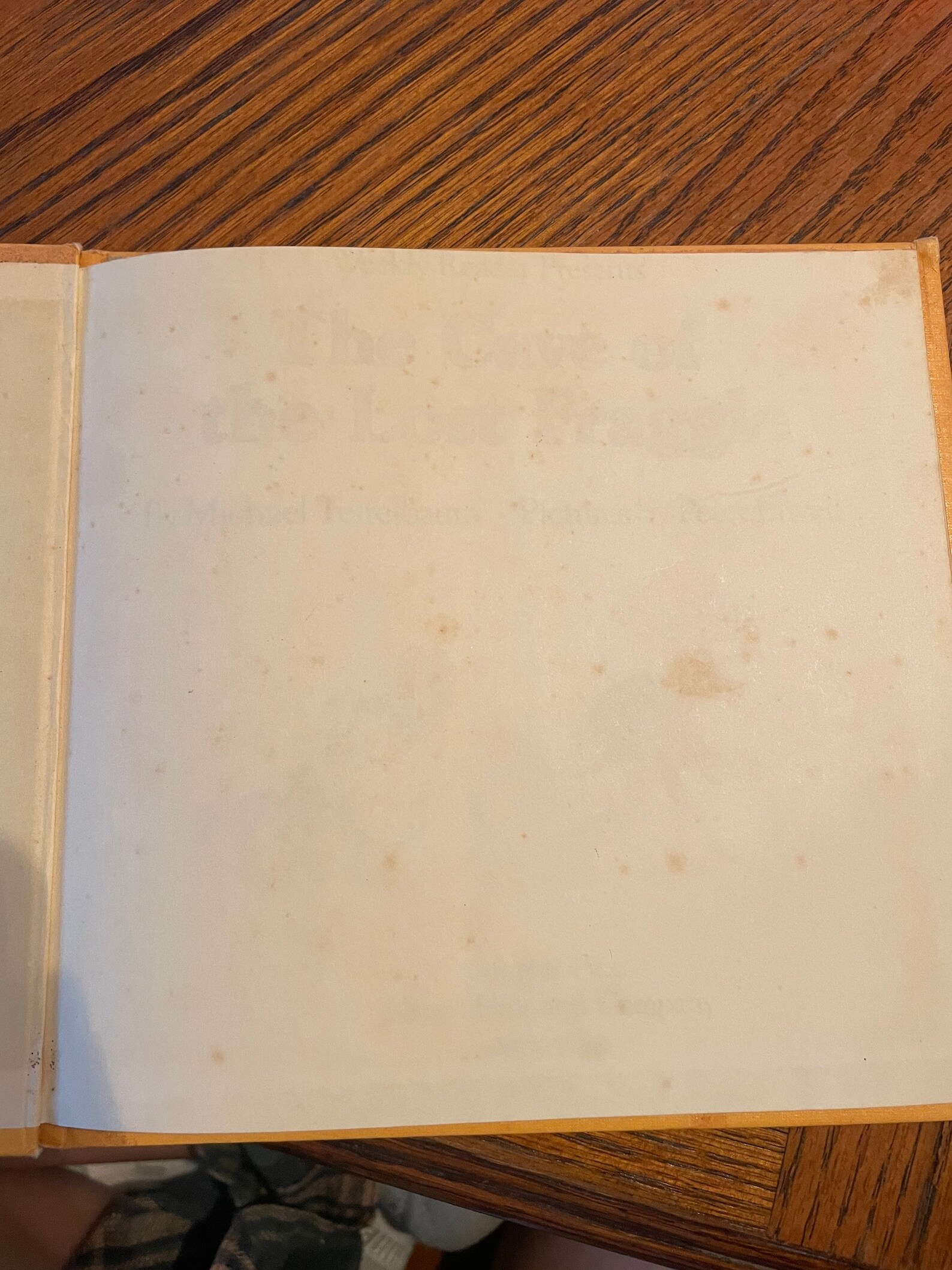 Fraggle Rock the Cave of the Lost Fraggle Weekly Reader / | Etsy