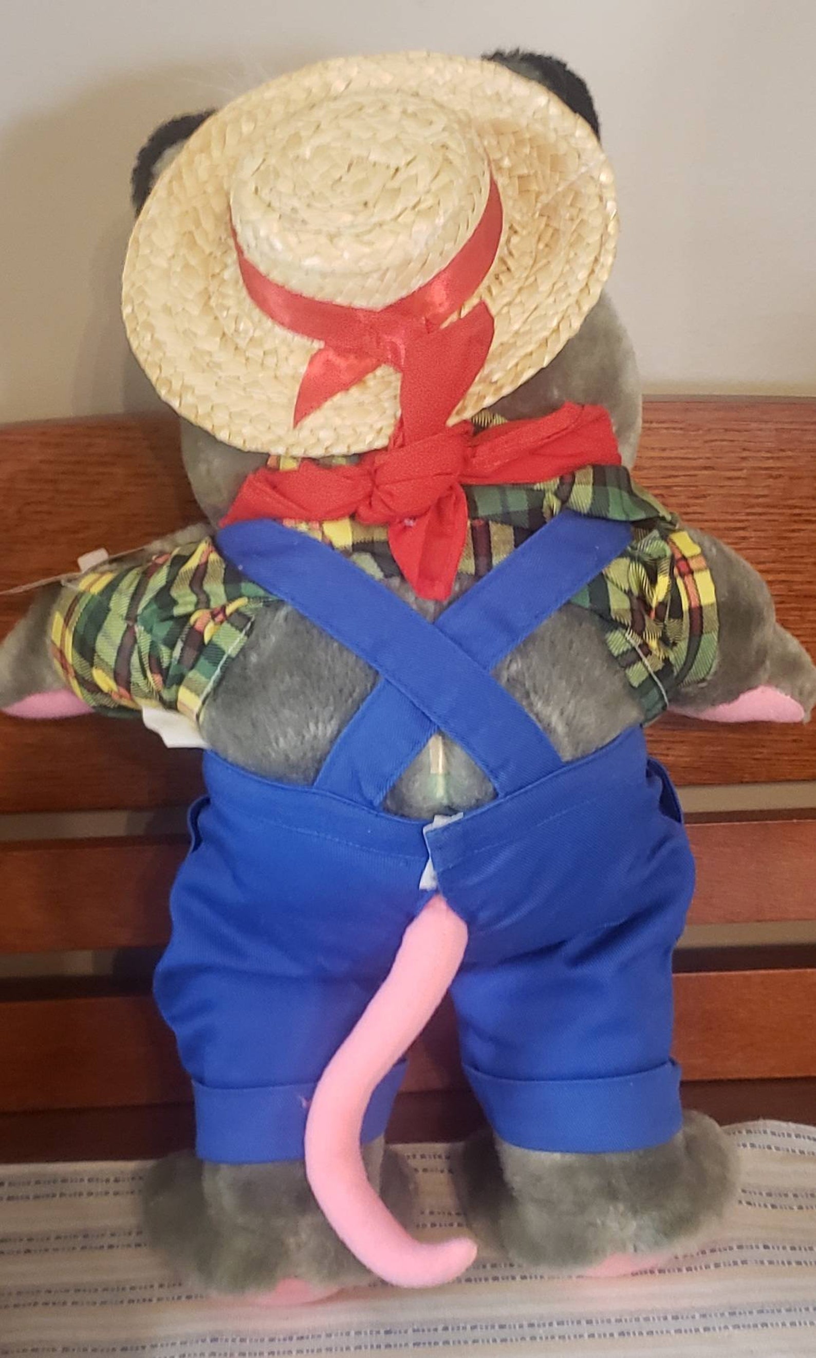 The Swamp Critters of the Lost Lagoon Billy Bob Possum Talking | Etsy