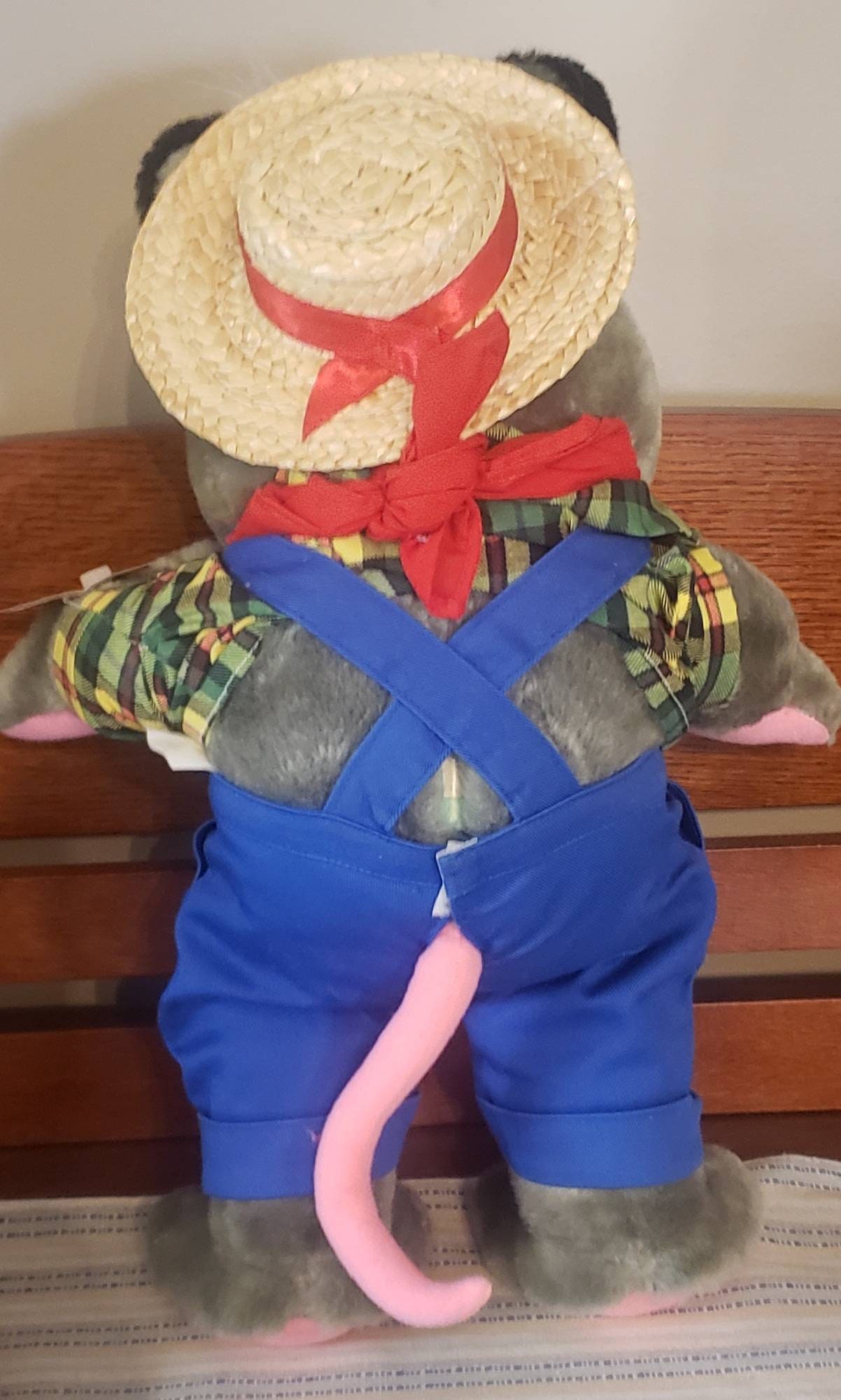 The Swamp Critters of the Lost Lagoon Billy Bob Possum Talking | Etsy