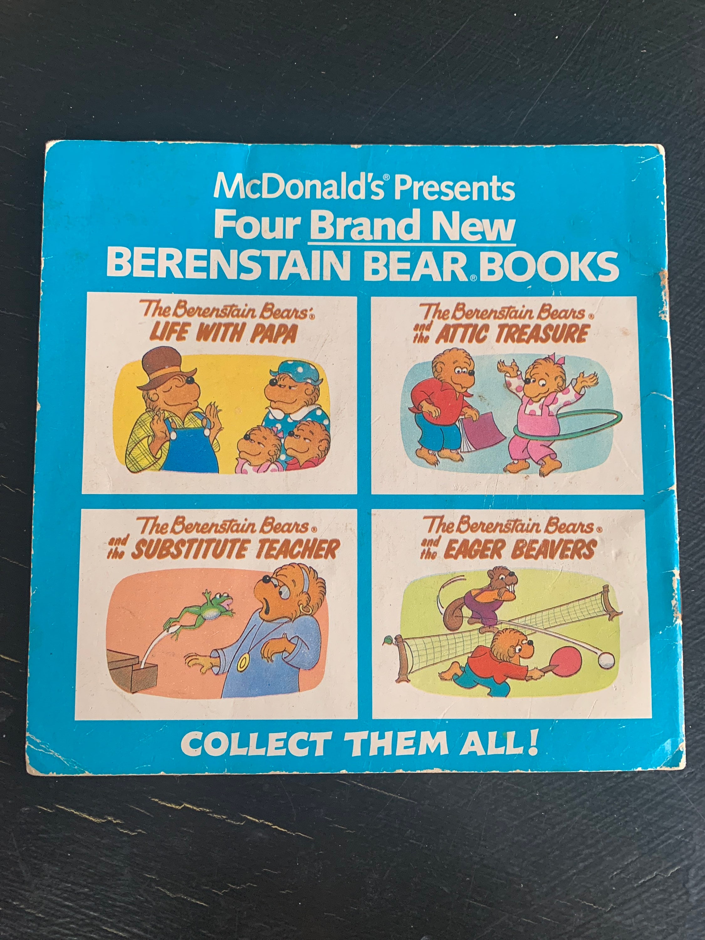 The Berenstain Bears and the Substitute Teacher by Stan & Jan - Etsy