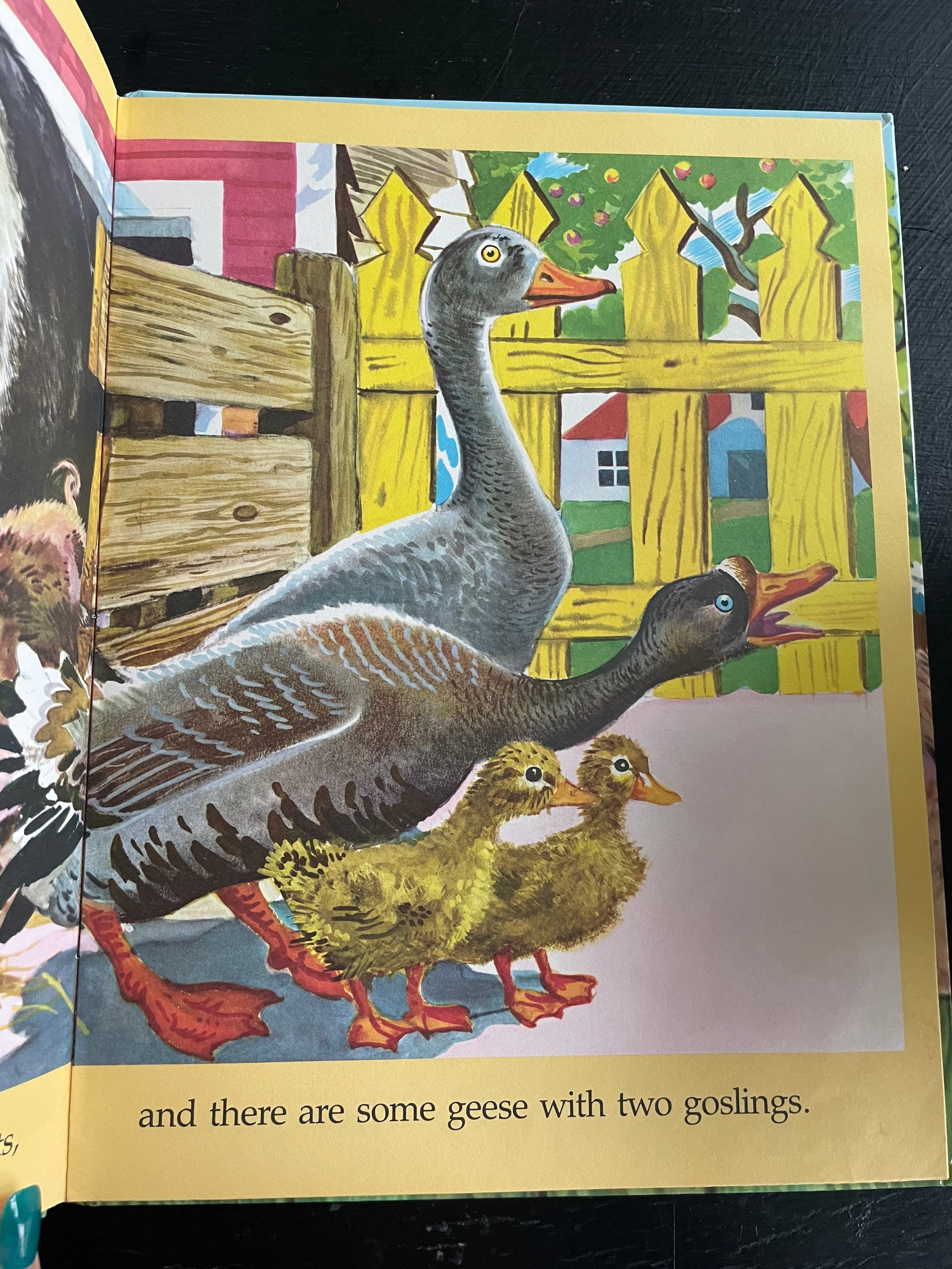 Farm Animals by Feodor Rojankovsky Merrigold Press Hardcover/ - Etsy