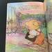 Pig Pig and the Magic Photo Album by David Mcphail/ Unicorn Paperback ...
