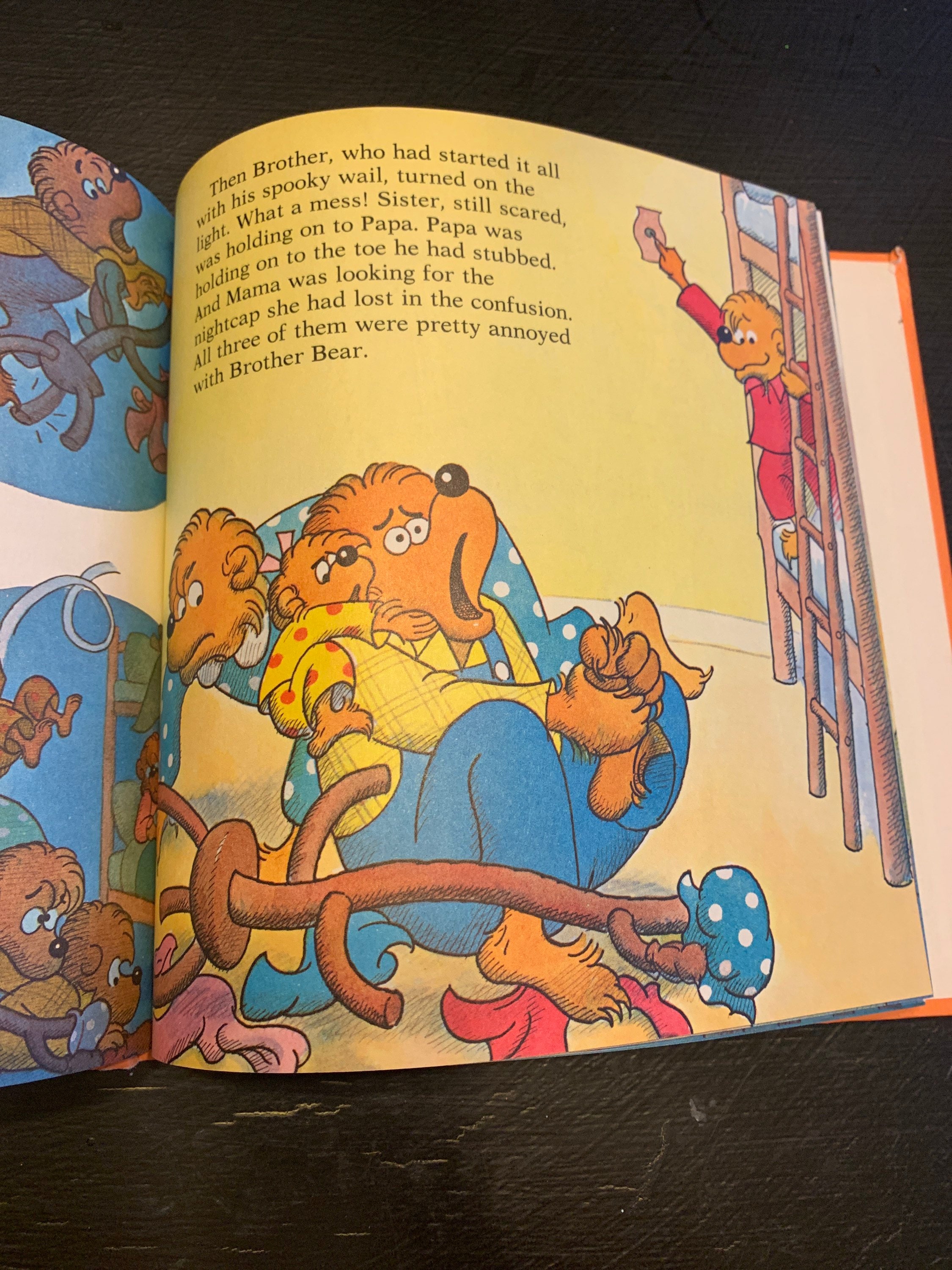 The Berenstain Bears: in the Dark by Stan & Jan Berenstain/ - Etsy