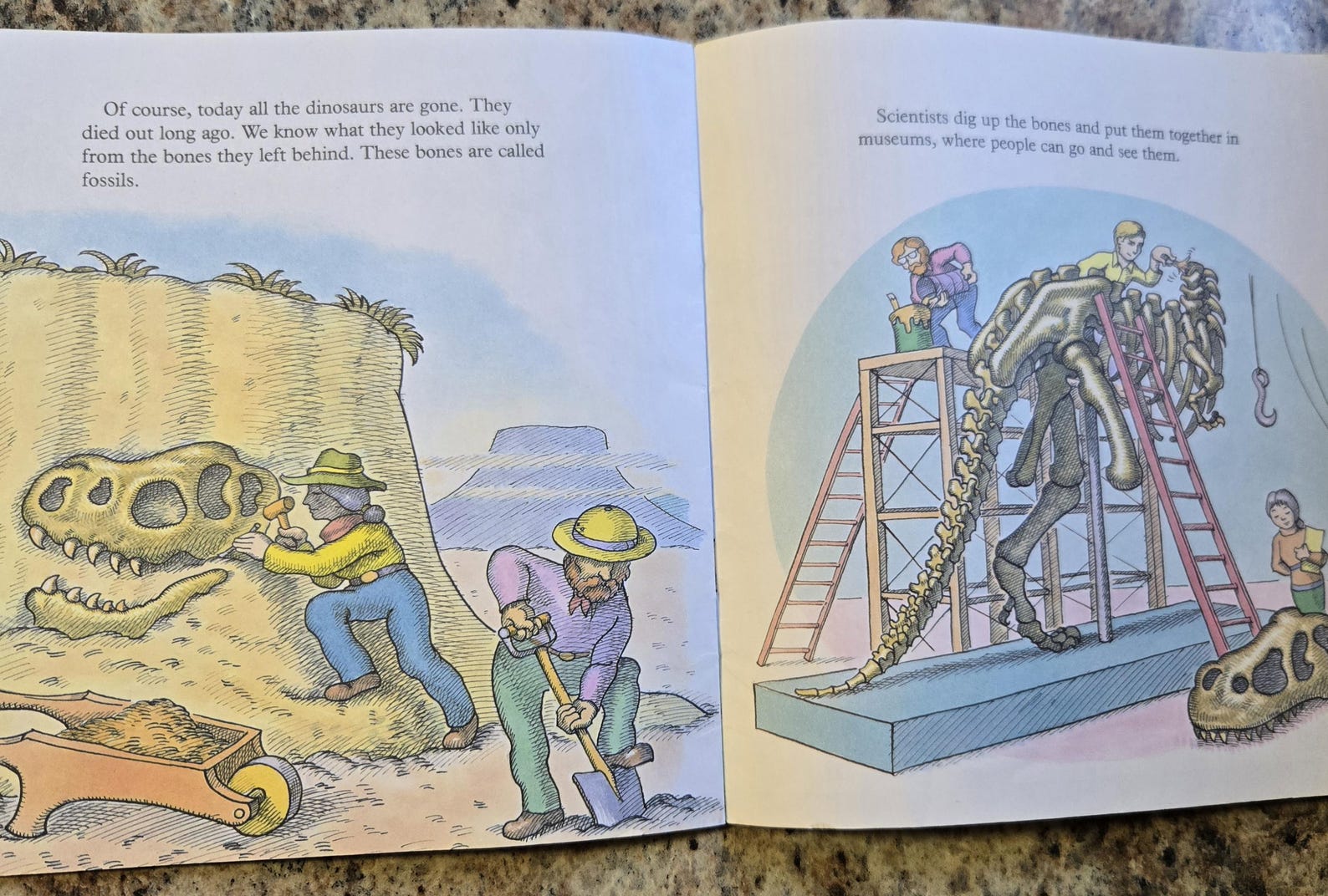 King of the Dinosaurs Tyrannosaurus Rex by Michael Berenstain Golden ...