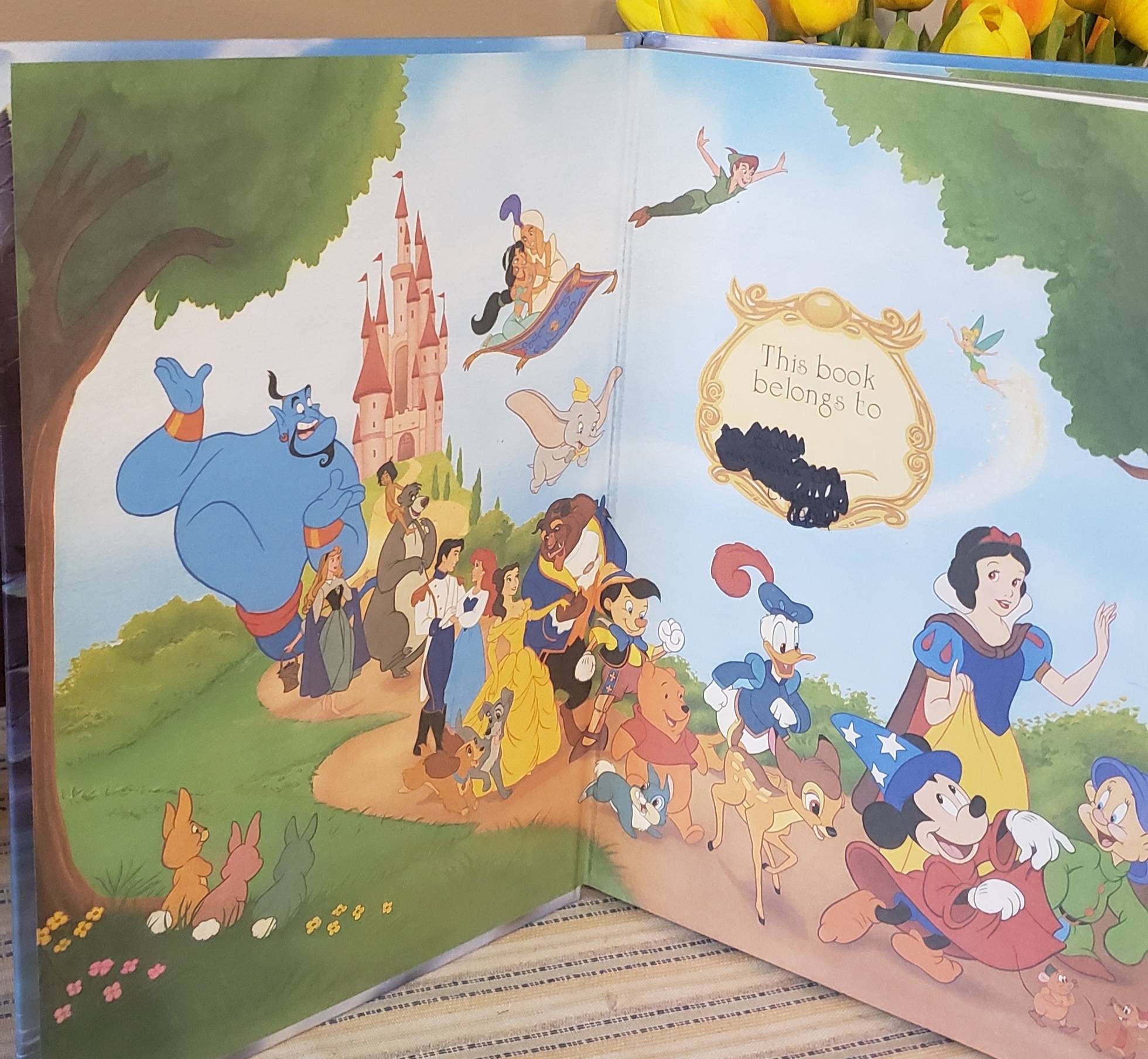 Disney's Pocahontas Storybook/vintage 1995 Childrens - Etsy