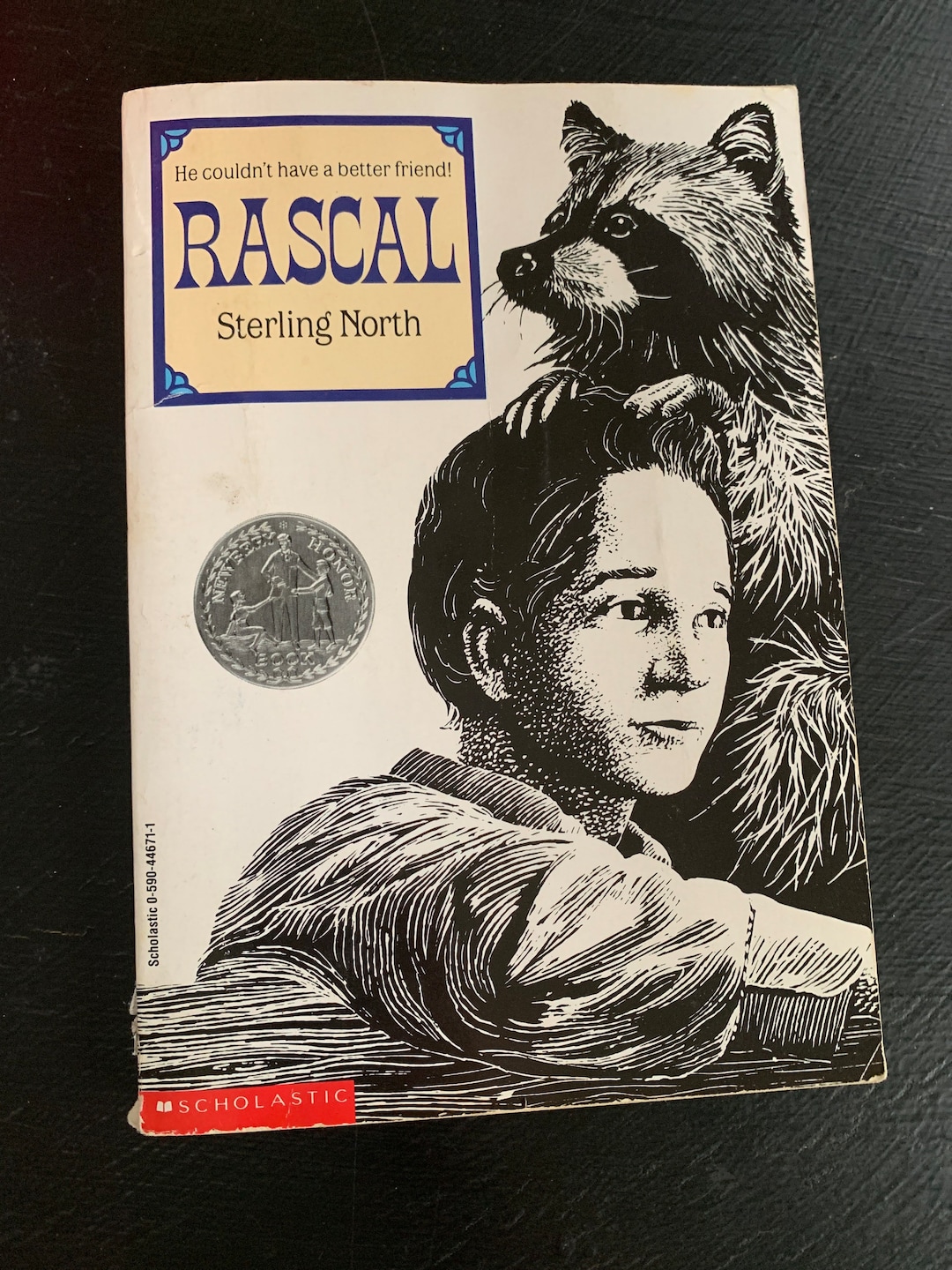 Rascal by Sterling North/ Scholastic Paperback/ Vintage 1991/ Children ...