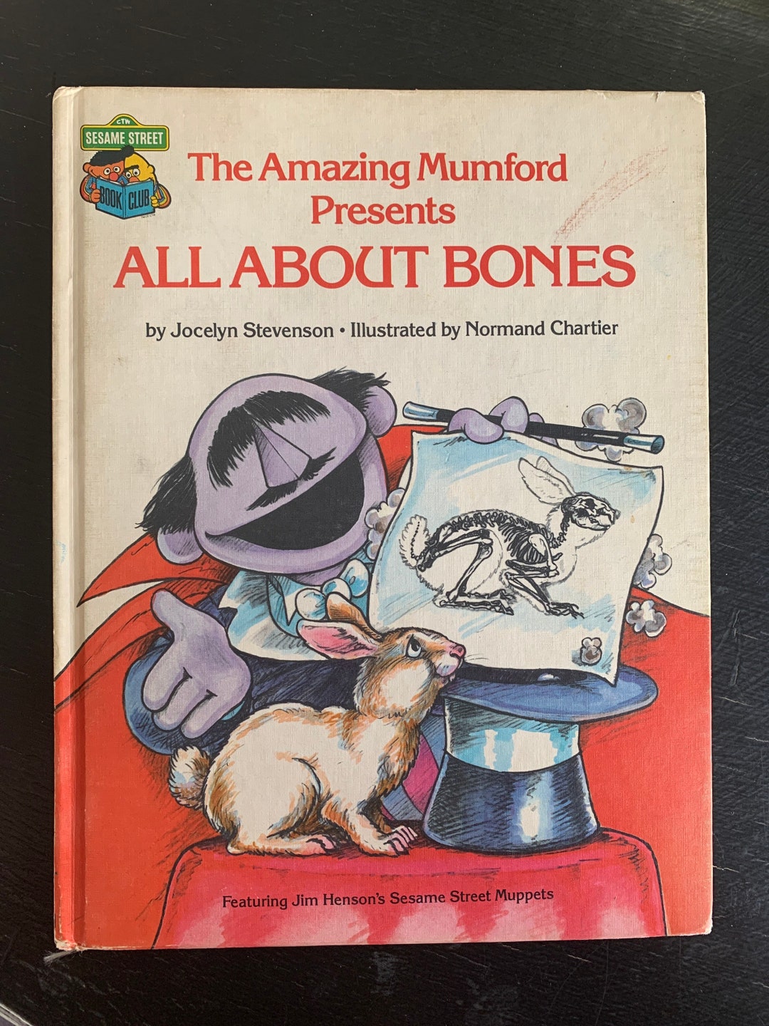 The Amazing Mumford Present All About Bone by Jocelyn Stevenson/ Sesame ...