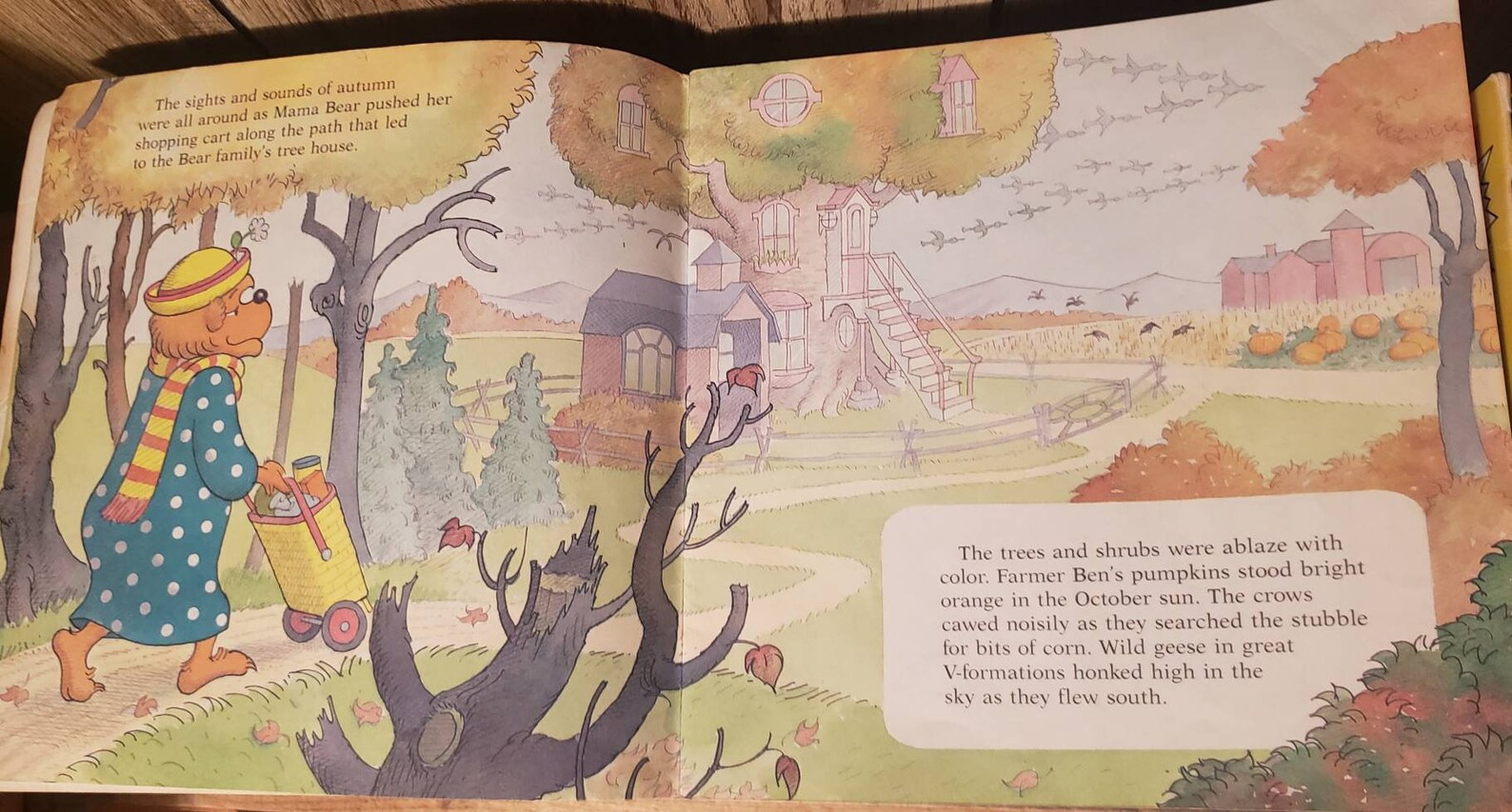 The Berenstain Bears trick or Treat First Time - Etsy