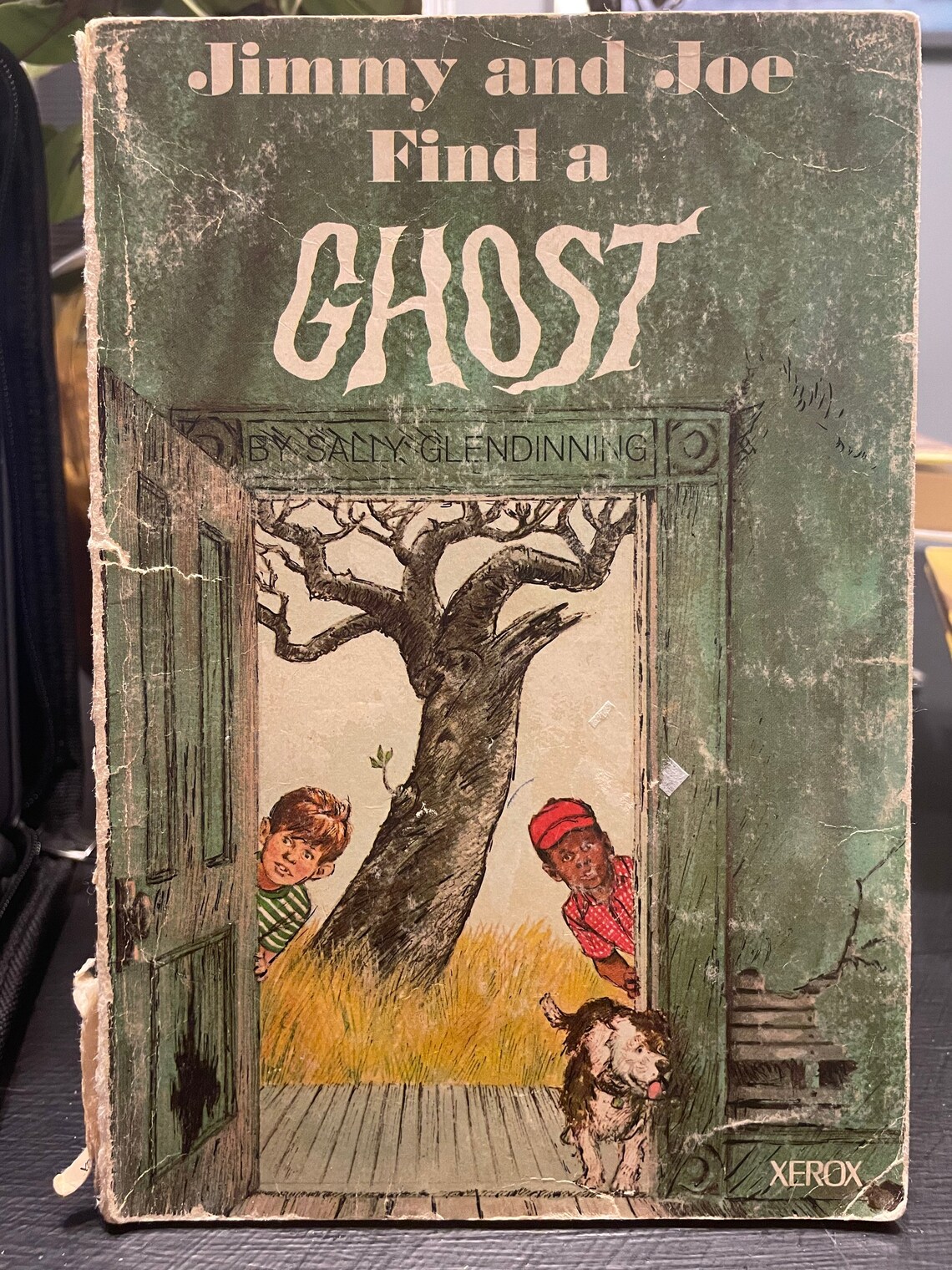 Jimmy and Joe Find a Ghost by Sally Glendinning Xerox Education ...