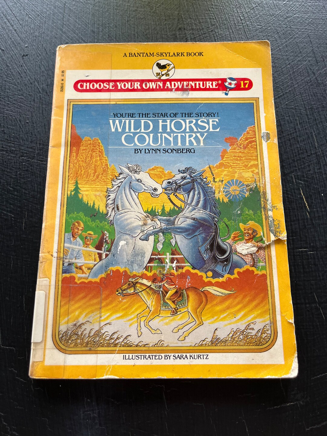 Choose Your Own Adventure #17: Wild Horse Country by Lynn Sonberg ...