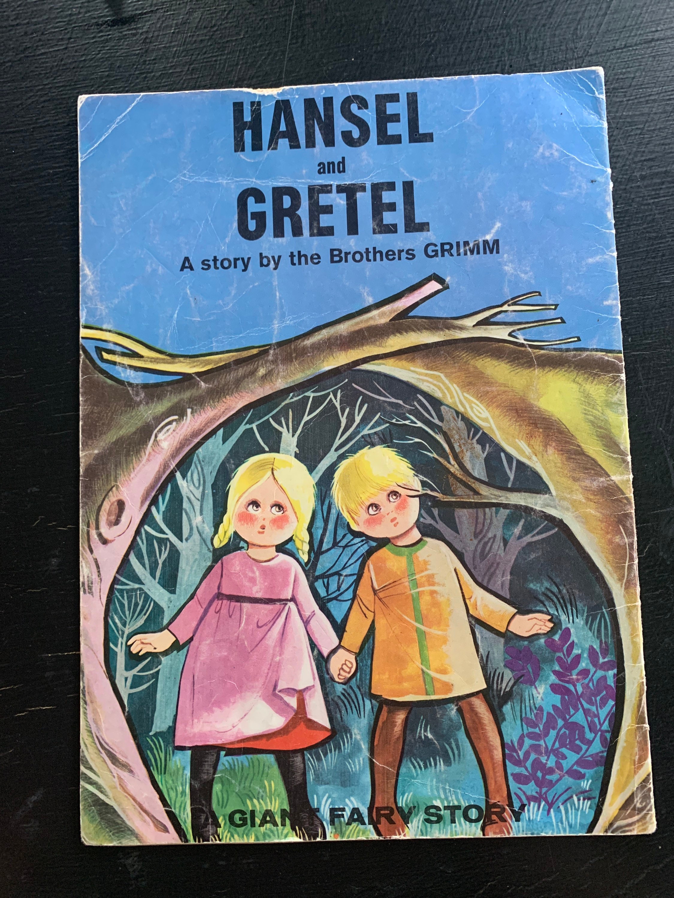 The Real Story Of Hansel And Gretel Book