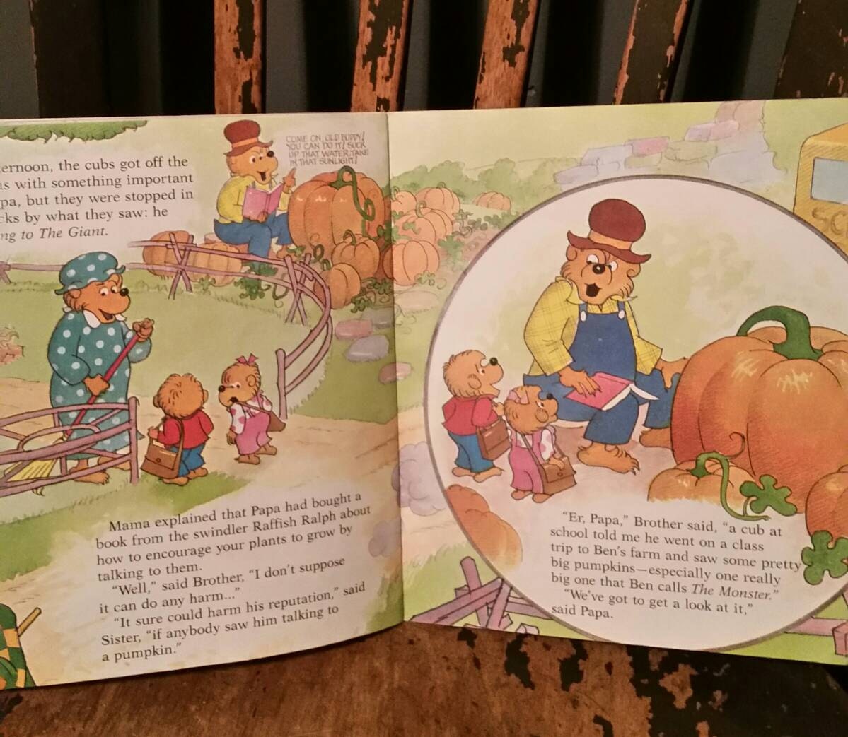 The Berenstain Bears and the Prize Pumpkin/childs Book/stan - Etsy