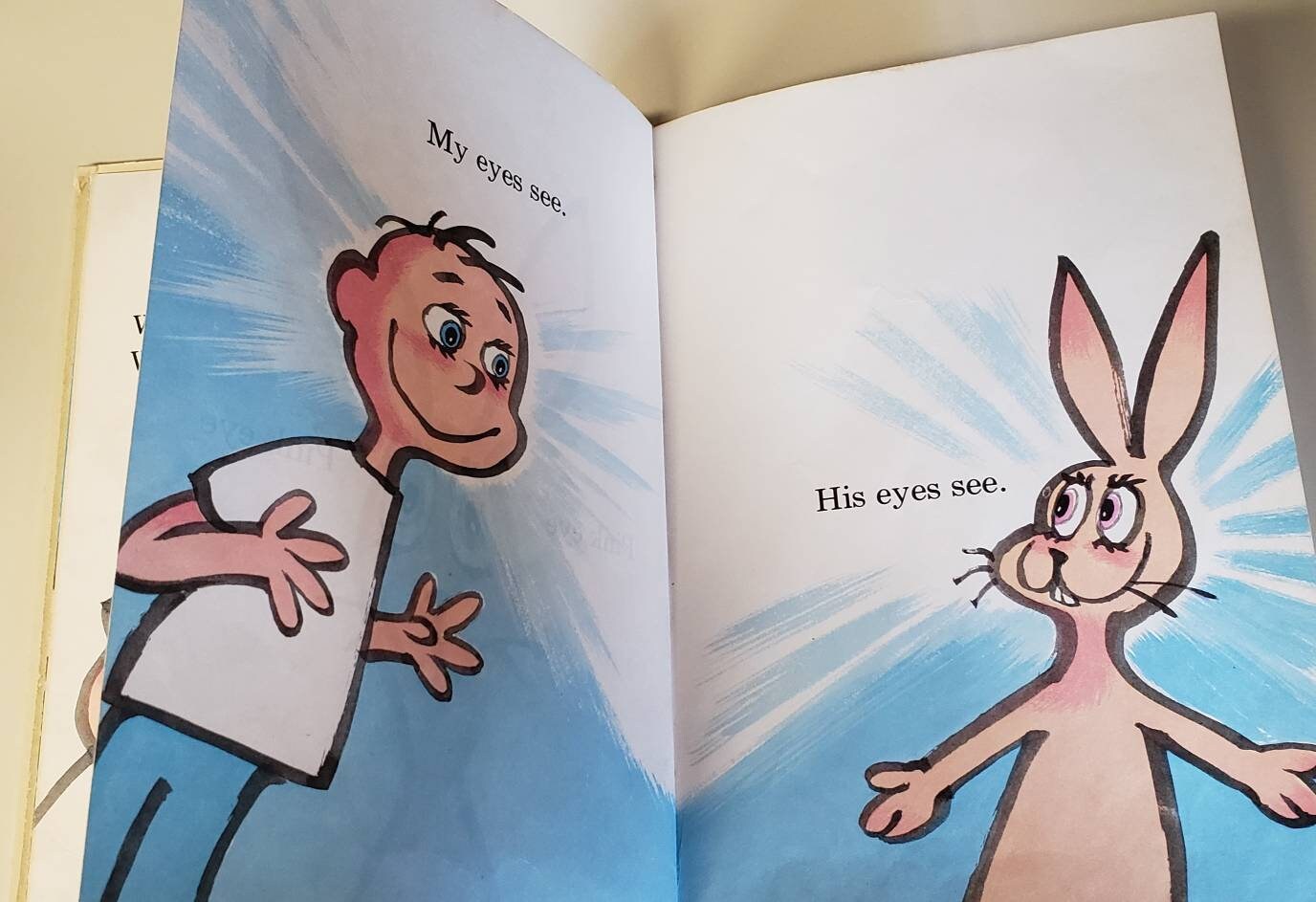 The Eye Book by Theo Leseig/illustrated by Roy Mckie/vintage | Etsy