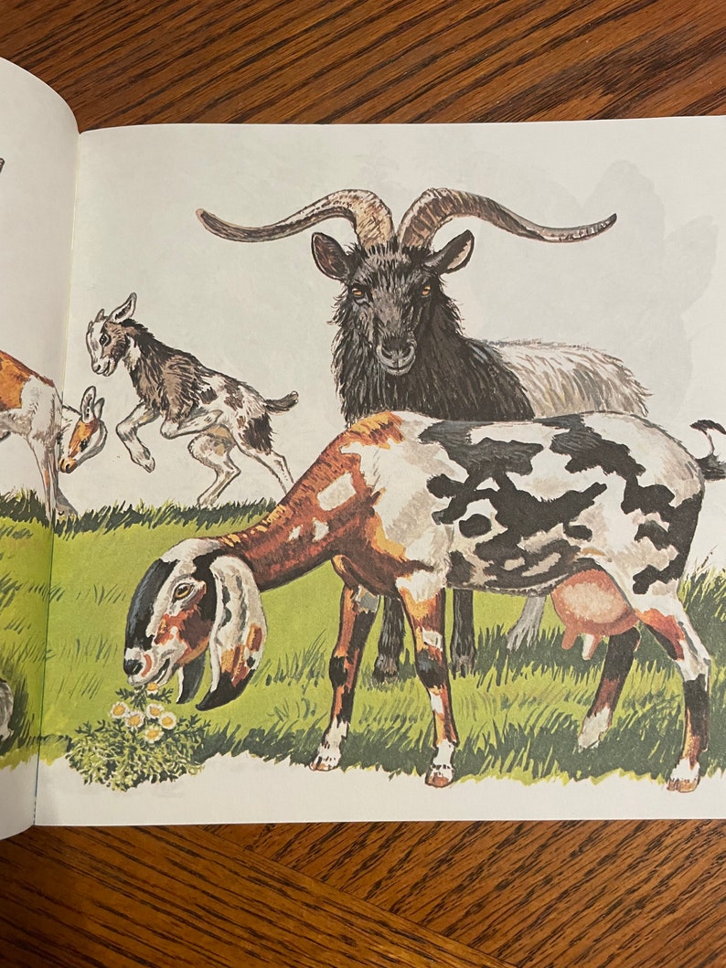 Farm Animals Random House Pictureback Book / Nostalgic Gift/ - Etsy