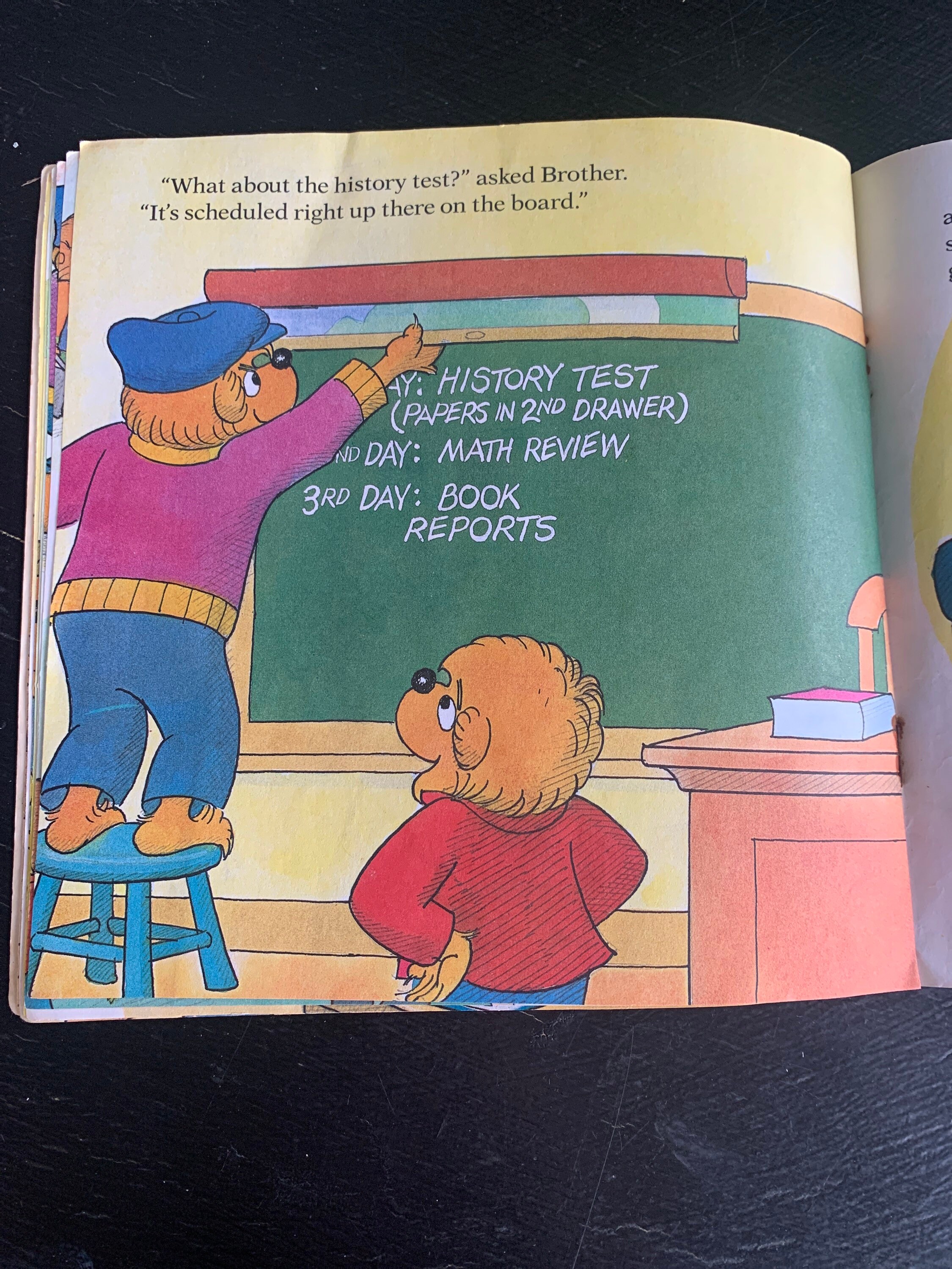 The Berenstain Bears and the Substitute Teacher by Stan & Jan - Etsy