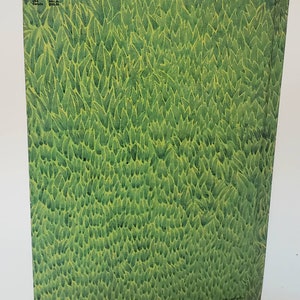 The Little Rabbit Who Wanted Red Wings by Carolyn Sherwin Bailey ...