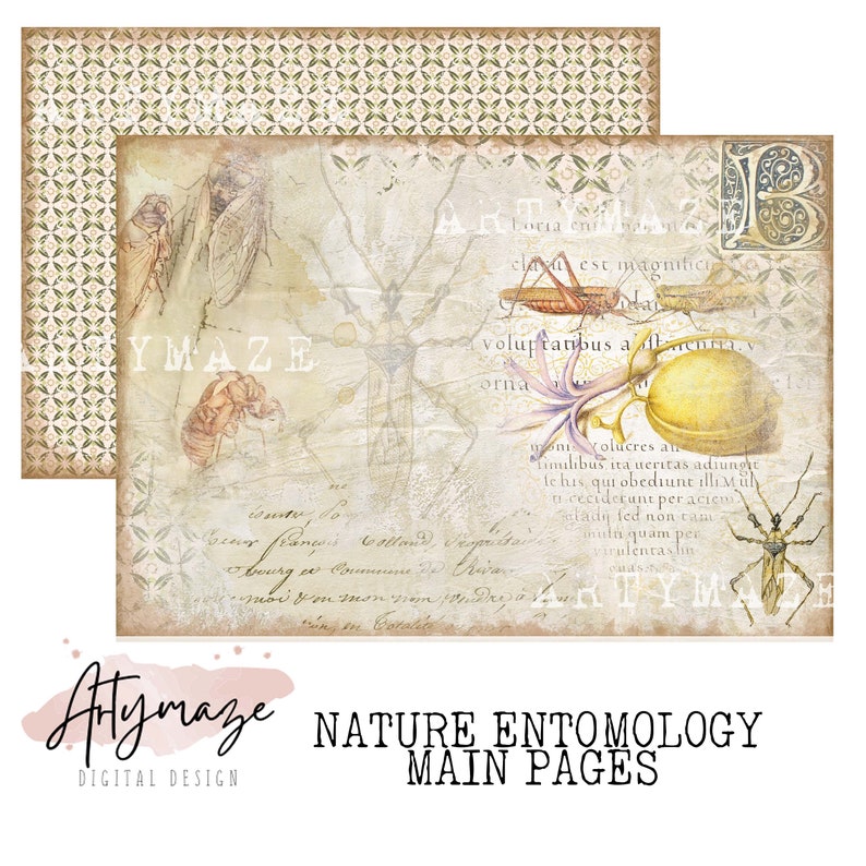 NATURE & ENTOMOLOGY Printable Journal Pages PLUS Bonus - Etsy UK