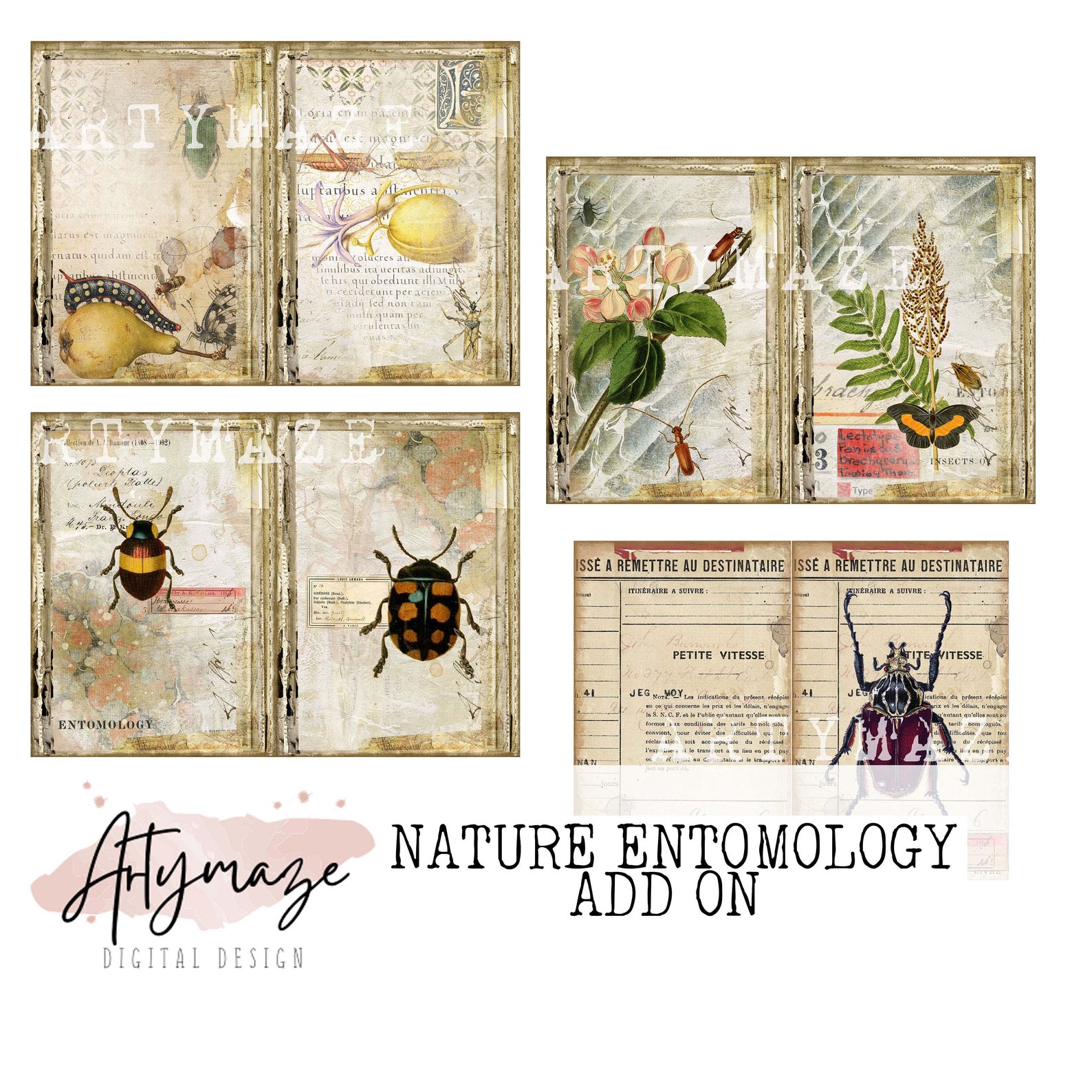NATURE & ENTOMOLOGY Add on Journal Kit - Etsy