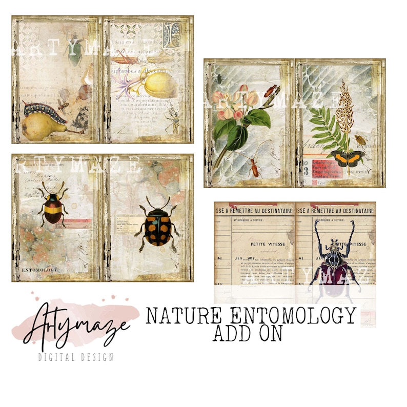 NATURE & ENTOMOLOGY Add on Journal Kit - Etsy