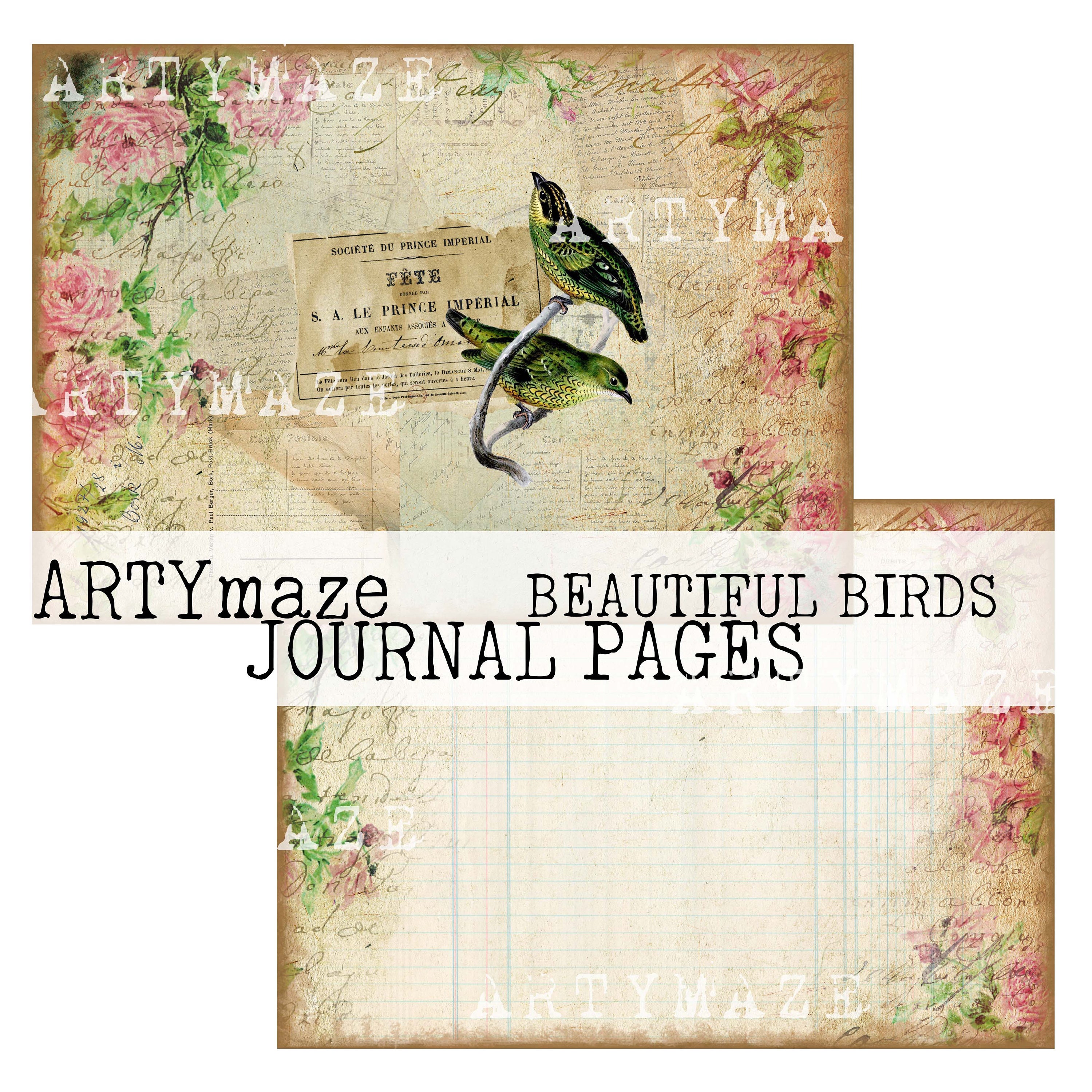 BEAUTIFUL BIRDS Full Size Journal Pages INSTANT Download - Etsy