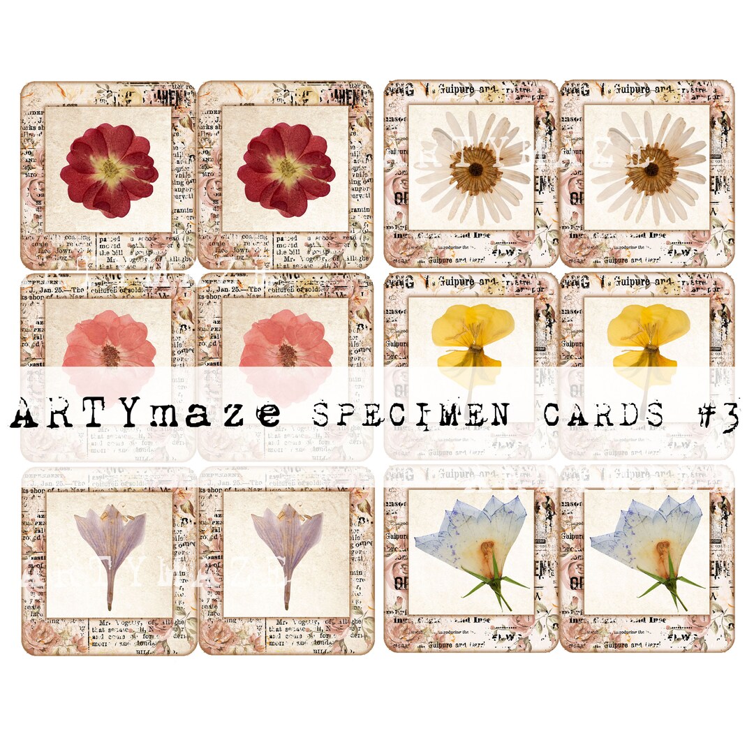 FAUX Pressed Flower SPECIMEN CARDS #3 - Etsy UK