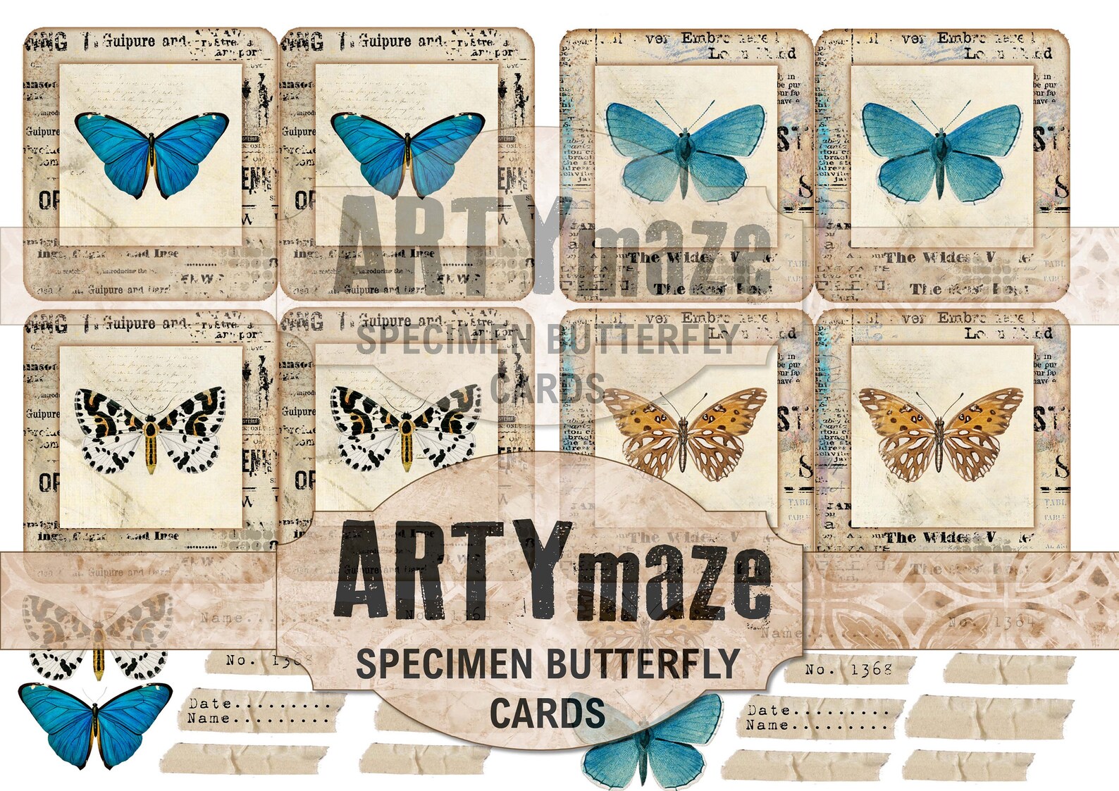 SPECIMEN BUTTERFLY CARDS - Etsy