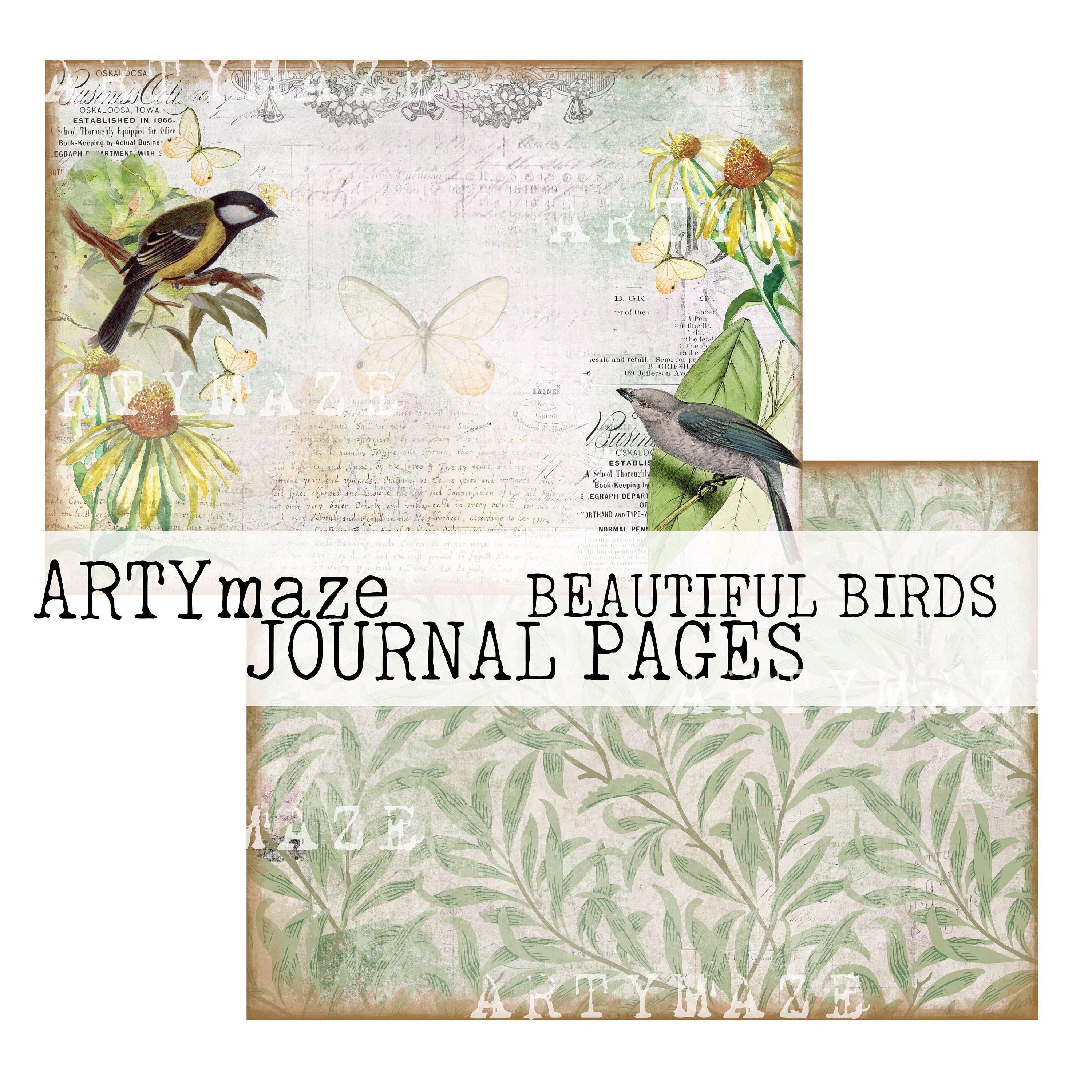 BEAUTIFUL BIRDS Full Size Journal Pages INSTANT Download Artymaze - Etsy
