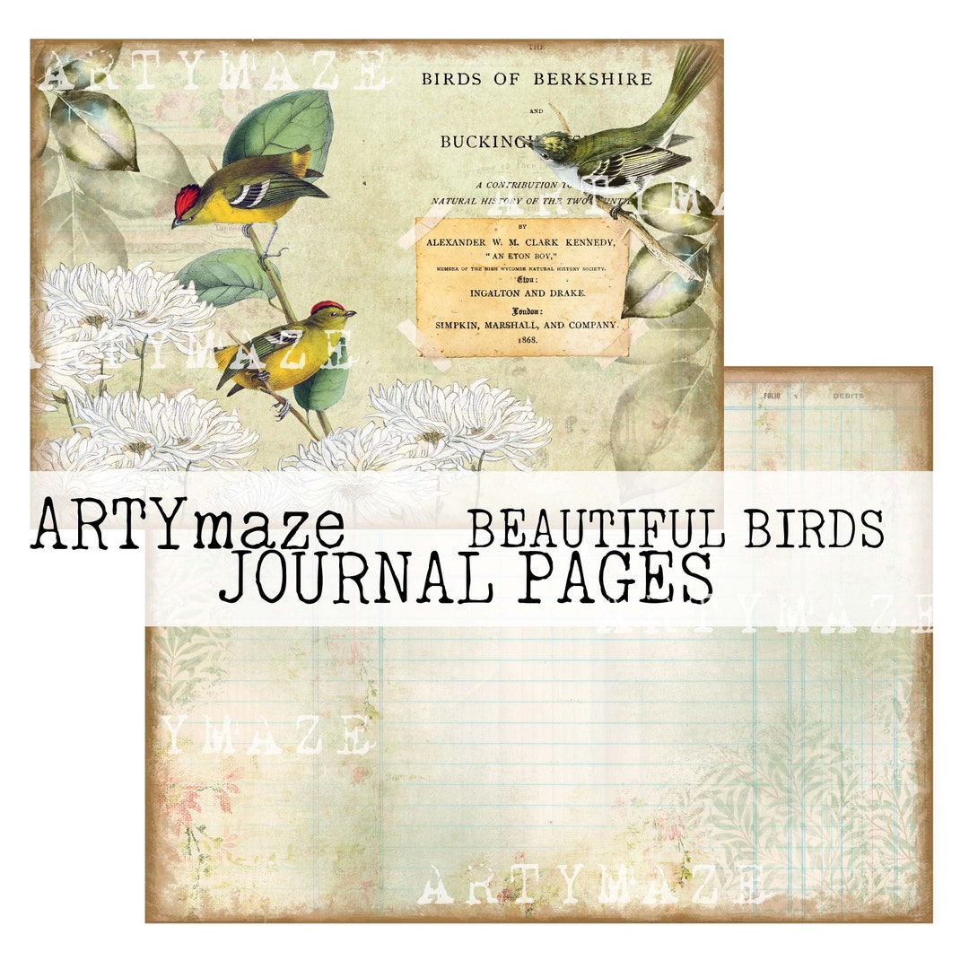 BEAUTIFUL BIRDS Full Size Journal Pages INSTANT Download Artymaze - Etsy