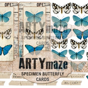 SPECIMEN BUTTERFLY CARDS, - Etsy